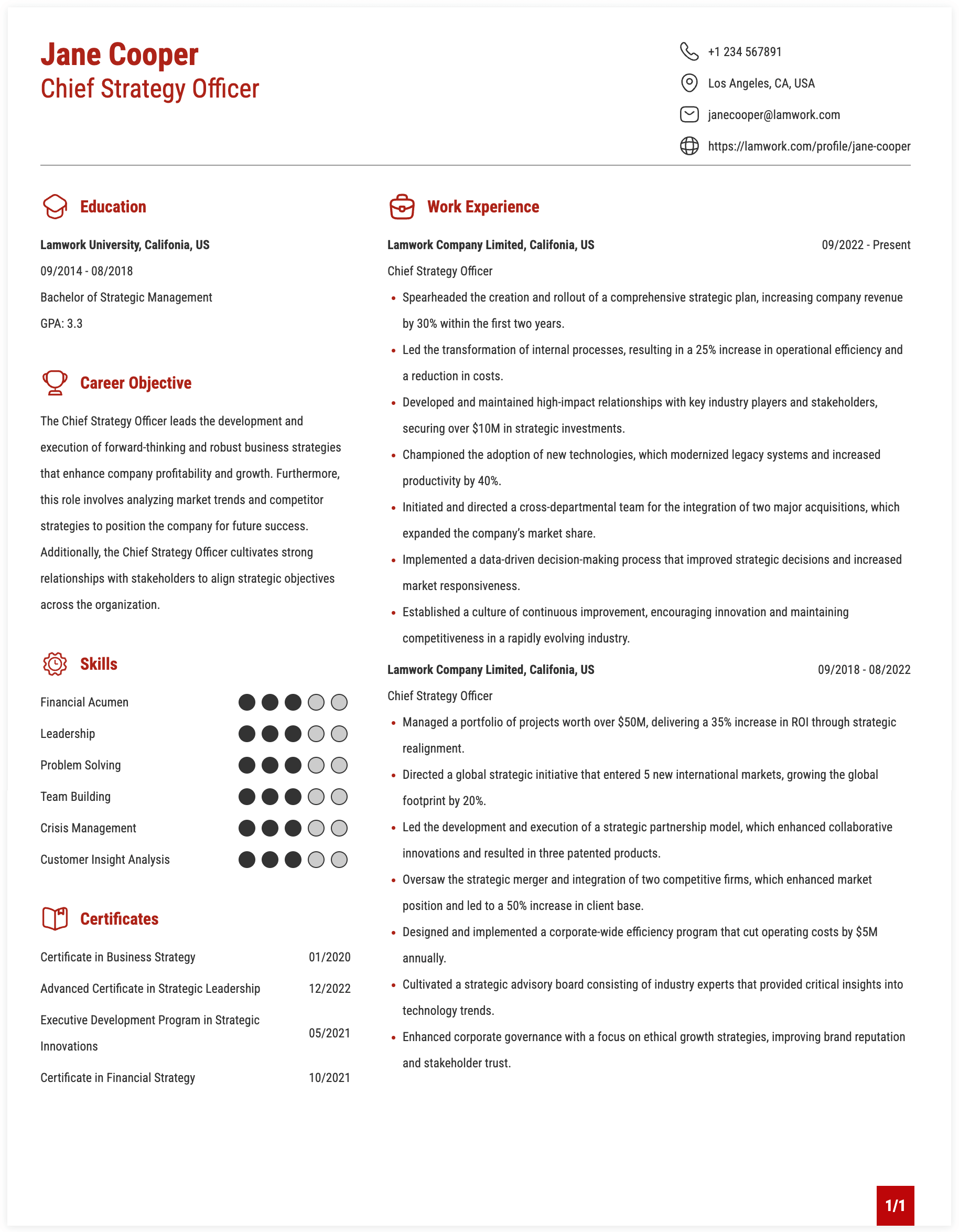 Chief Strategy Officer Resume Example