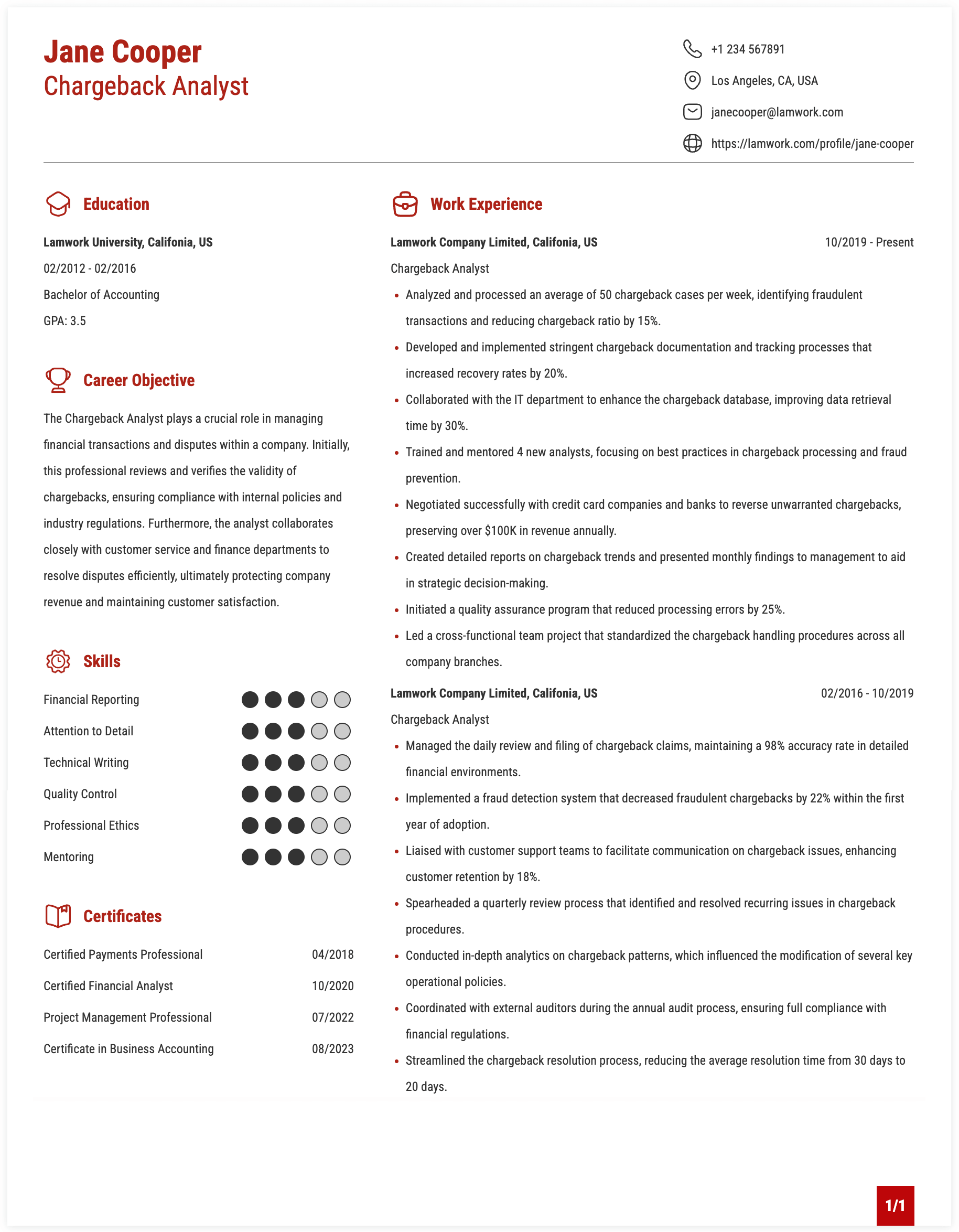 Chargeback Analyst Resume Example