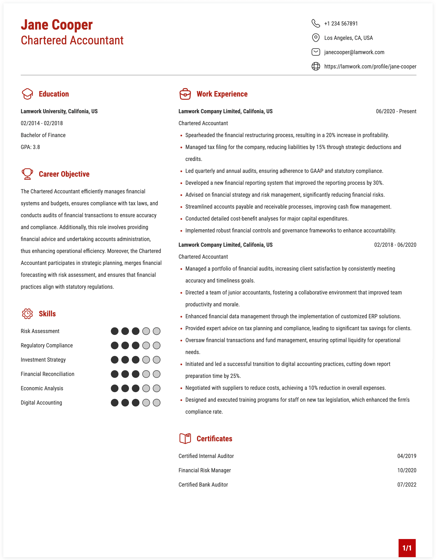 Chartered Accountant Resume Example