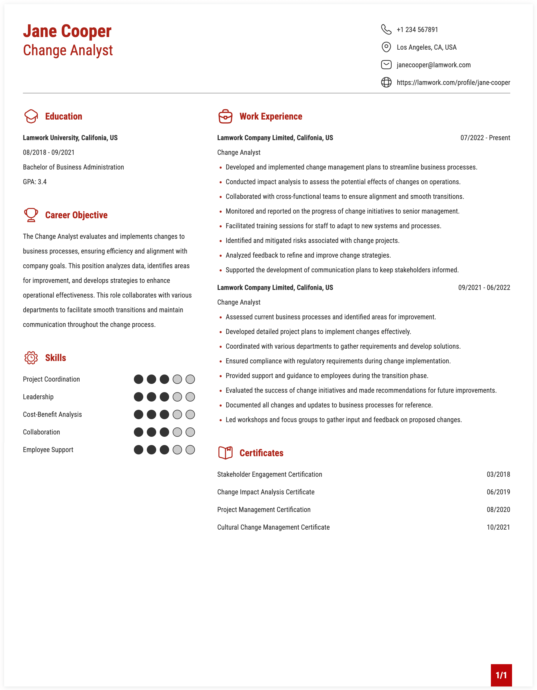 Change Analyst Resume Example