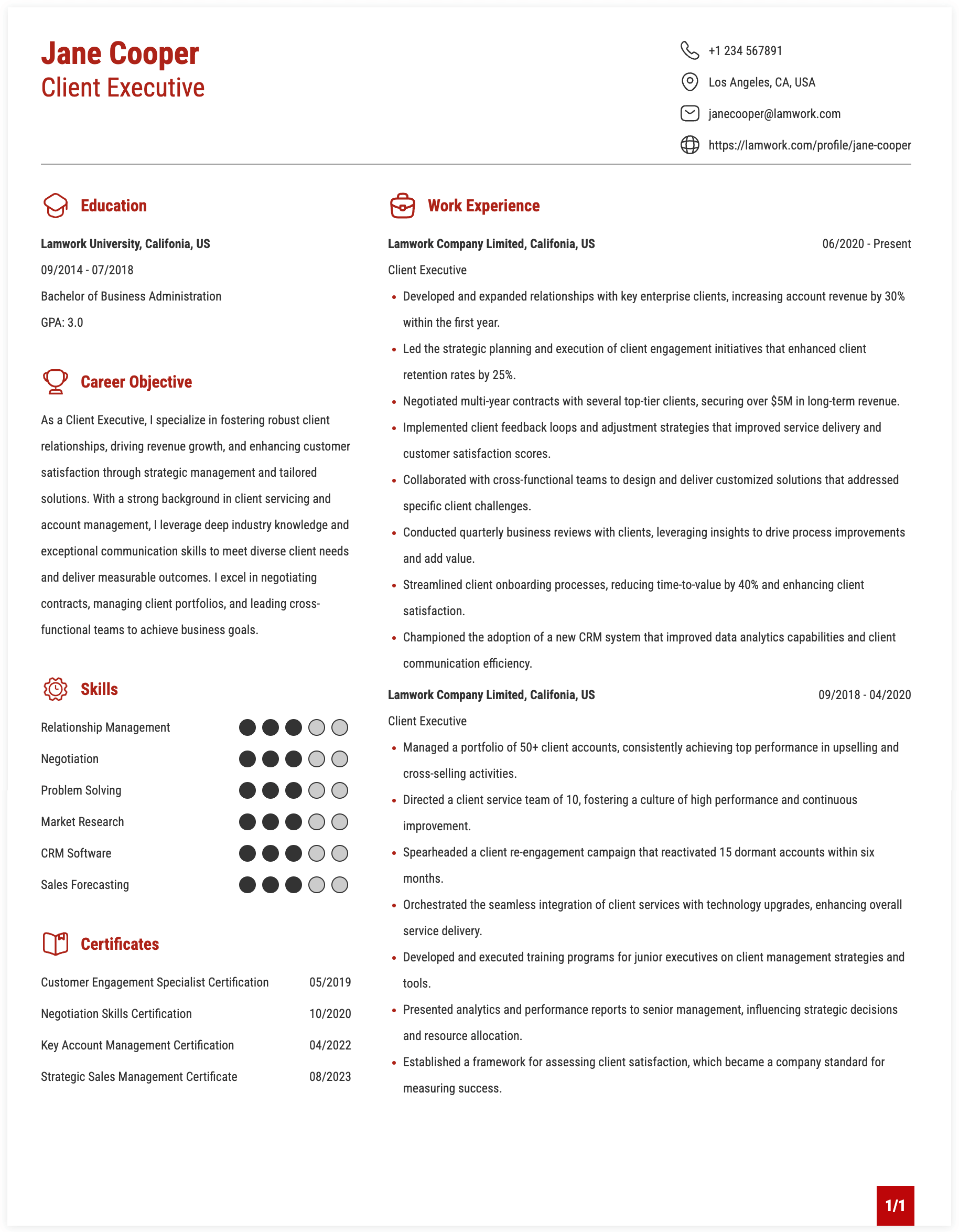 Client Executive Resume Example