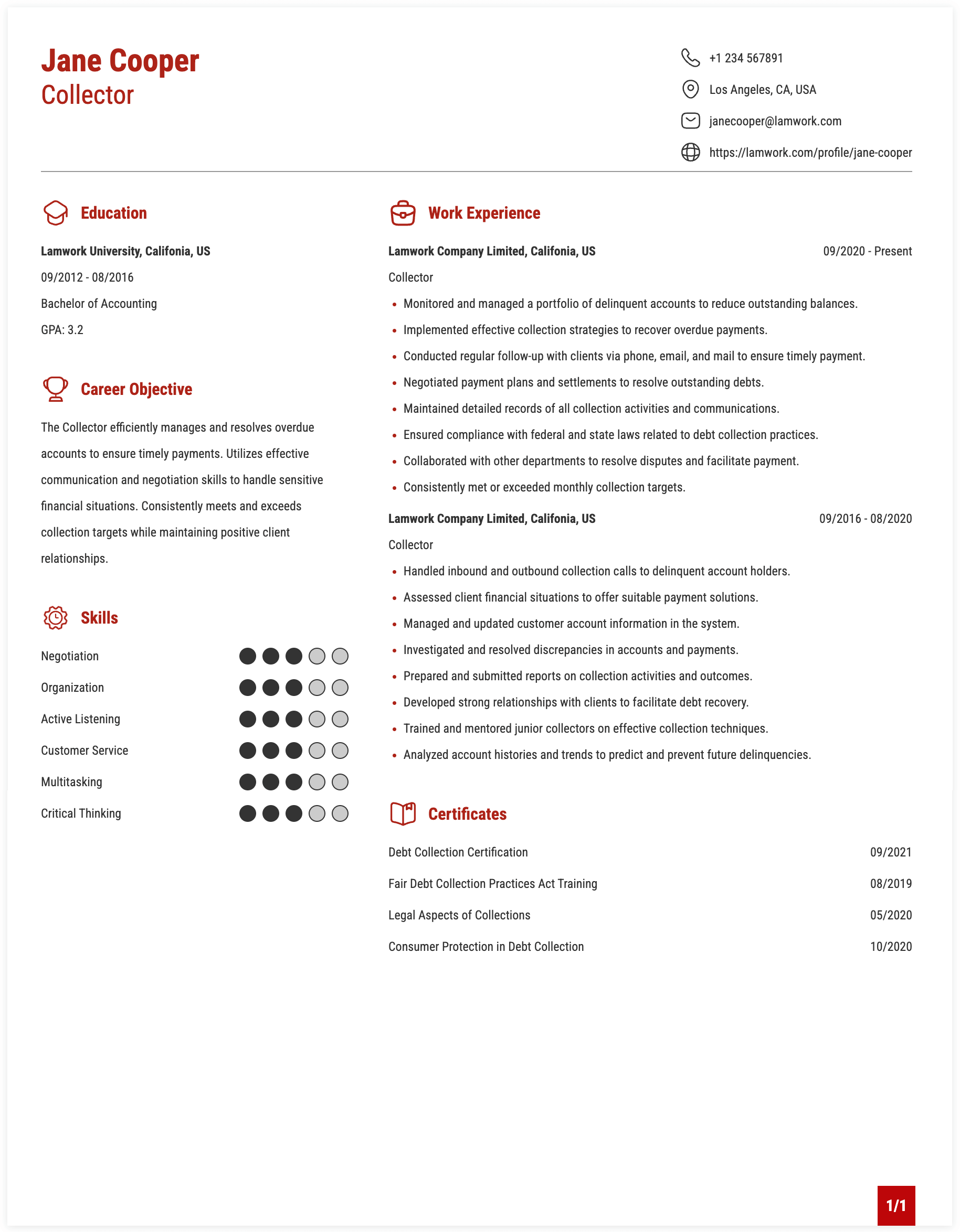 Collector Resume Example