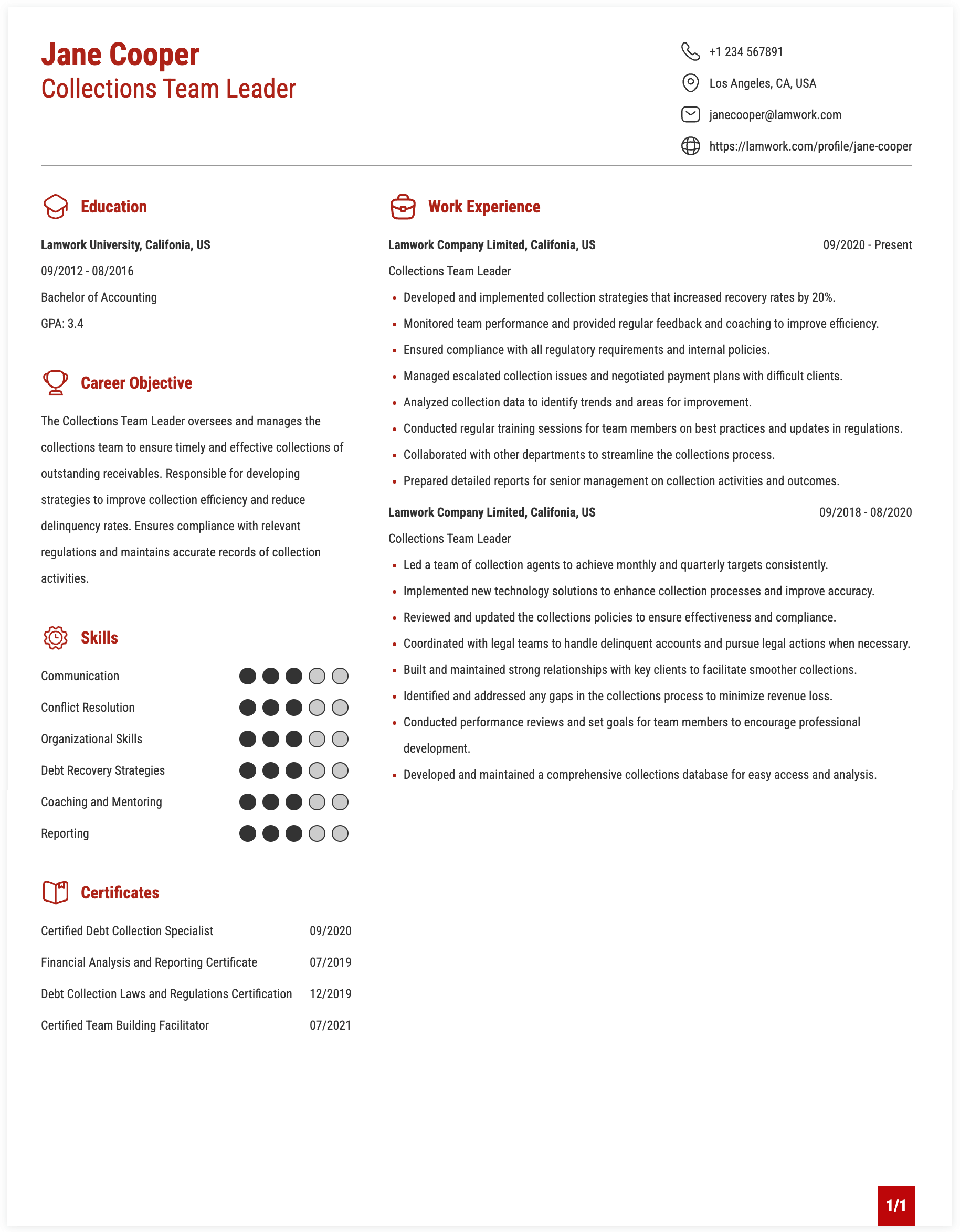Collections Team Leader Resume Example