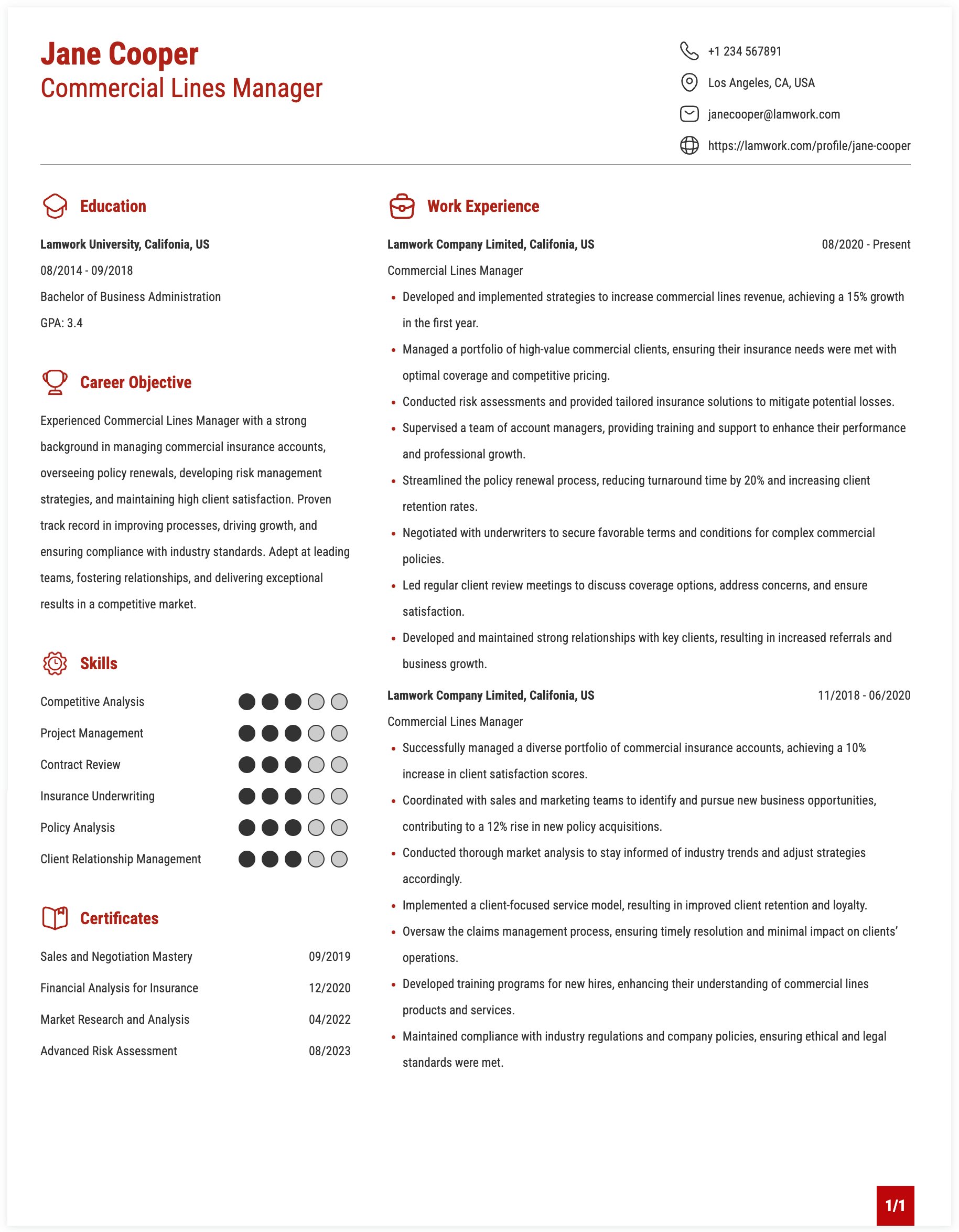 Commercial Lines Manager Resume Example