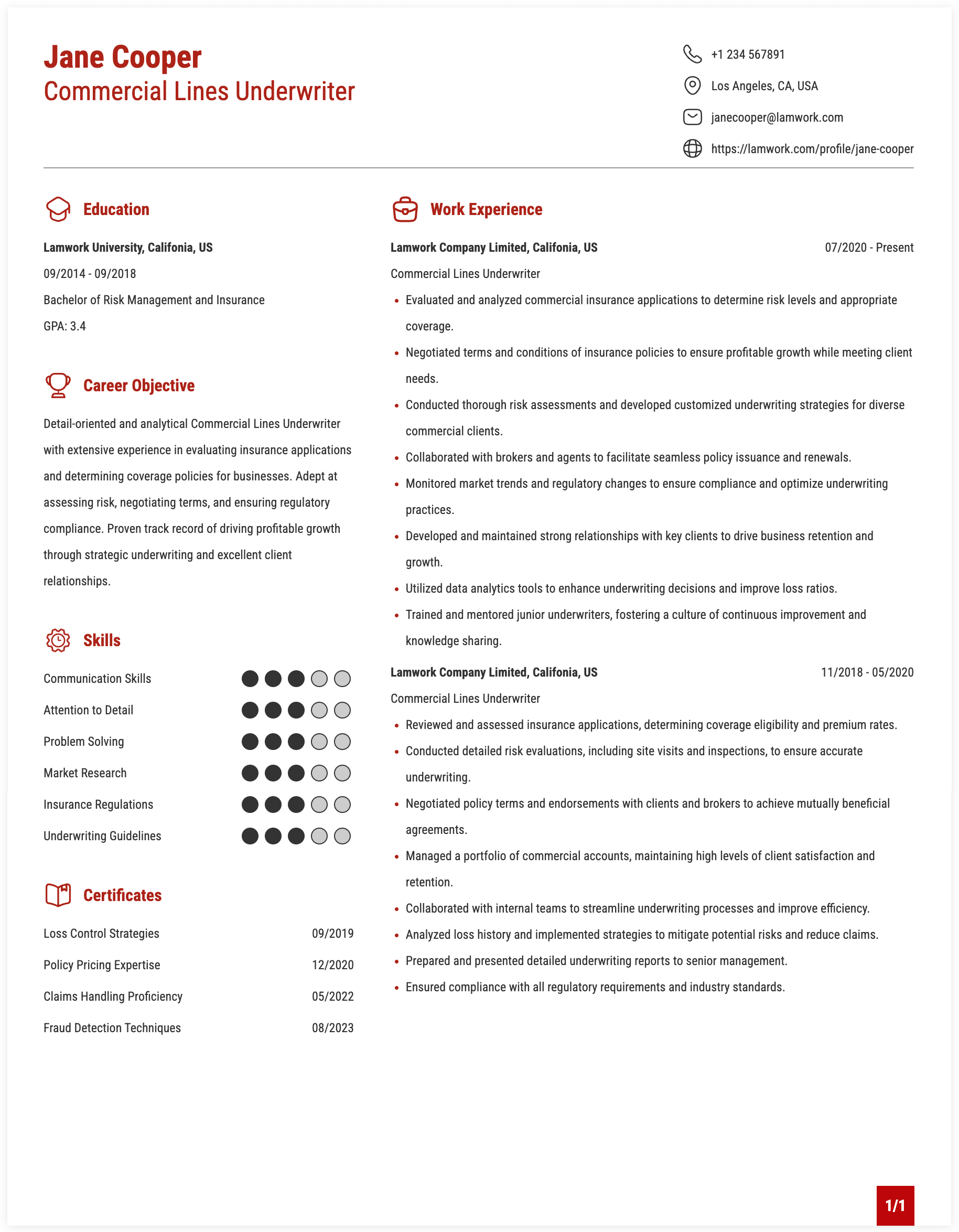 Commercial Lines Underwriter Resume Example