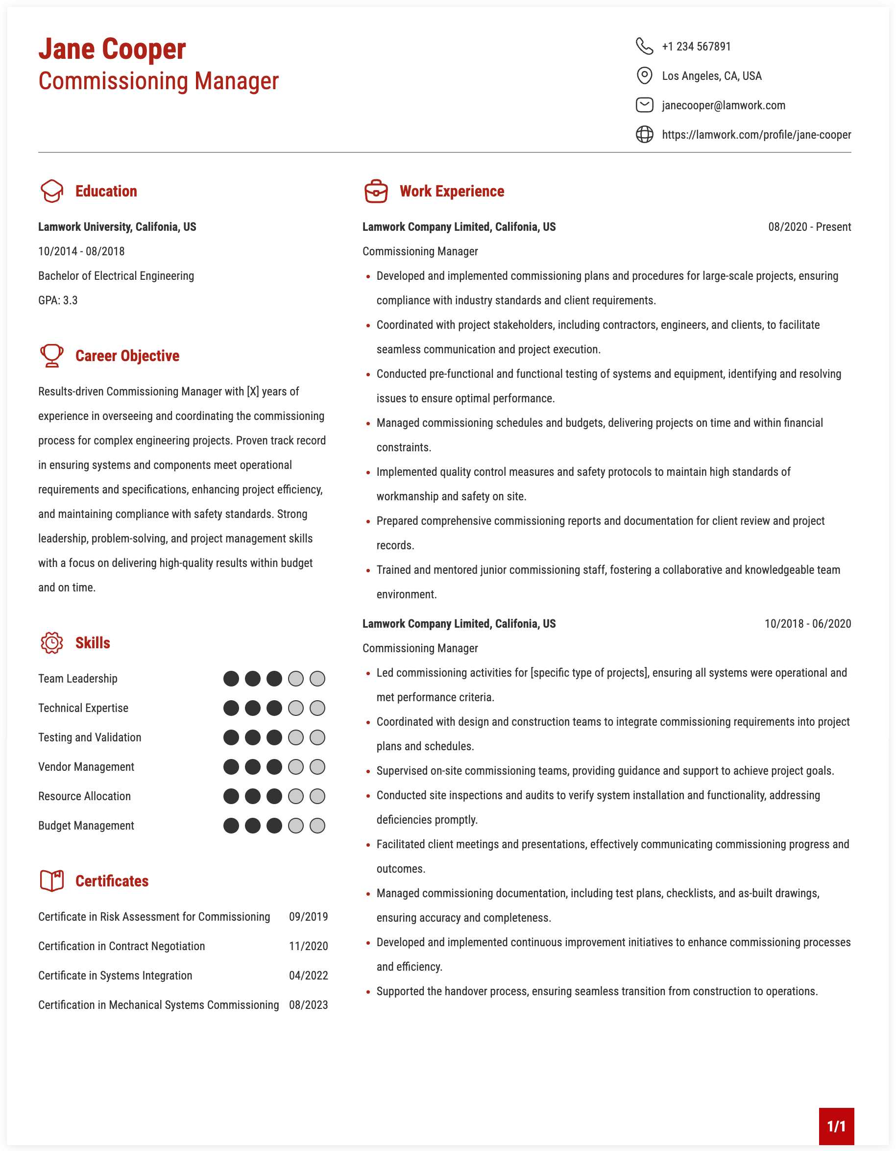 Commissioning Manager Resume Example
