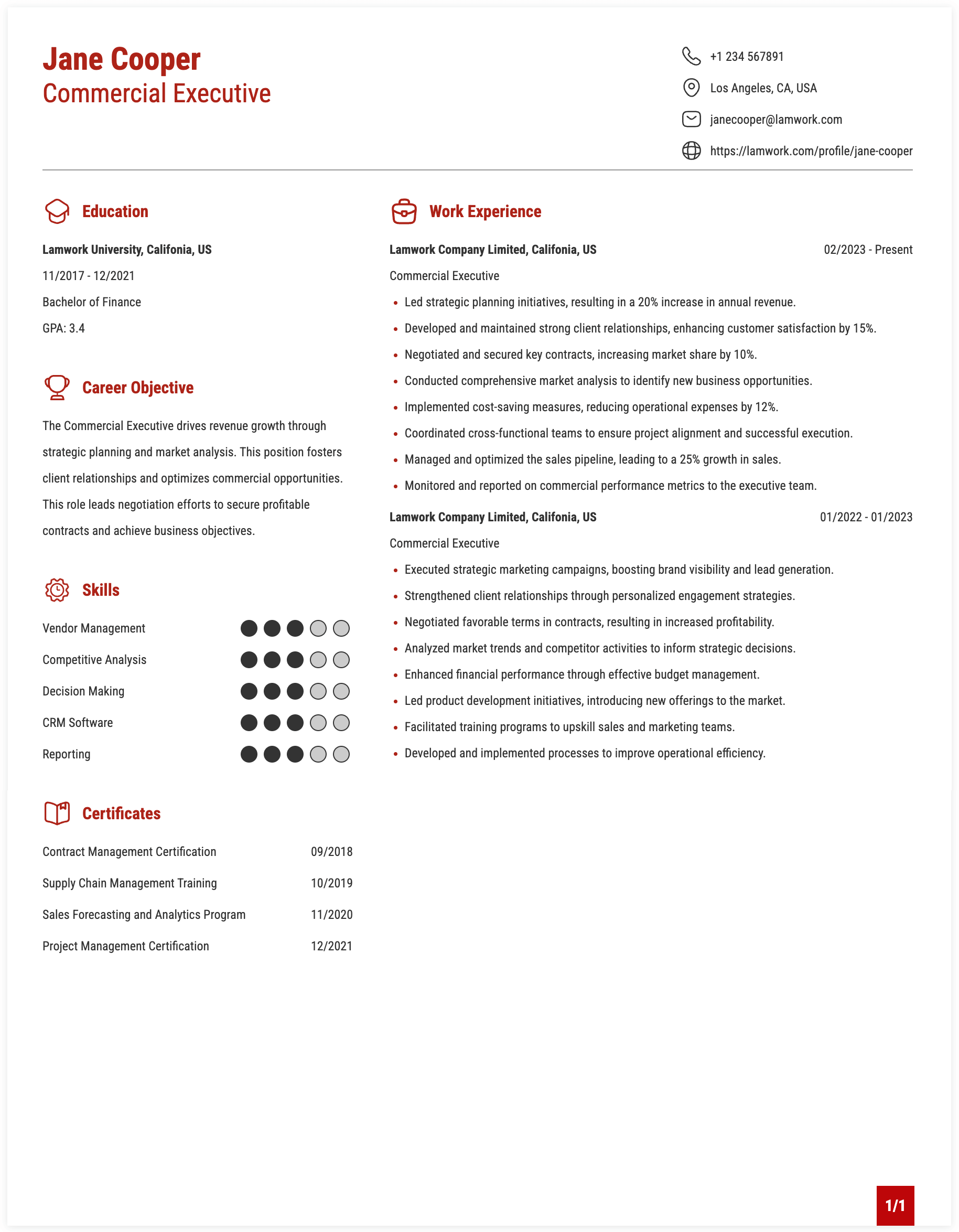 Commercial Executive Resume Example