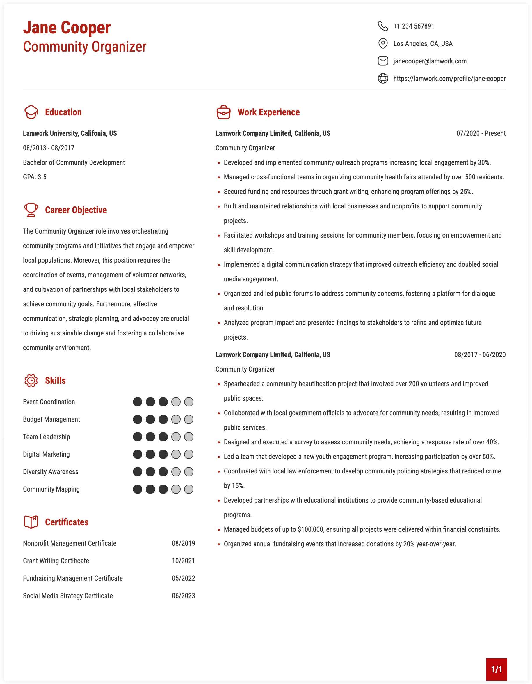 Community Organizer Resume Example