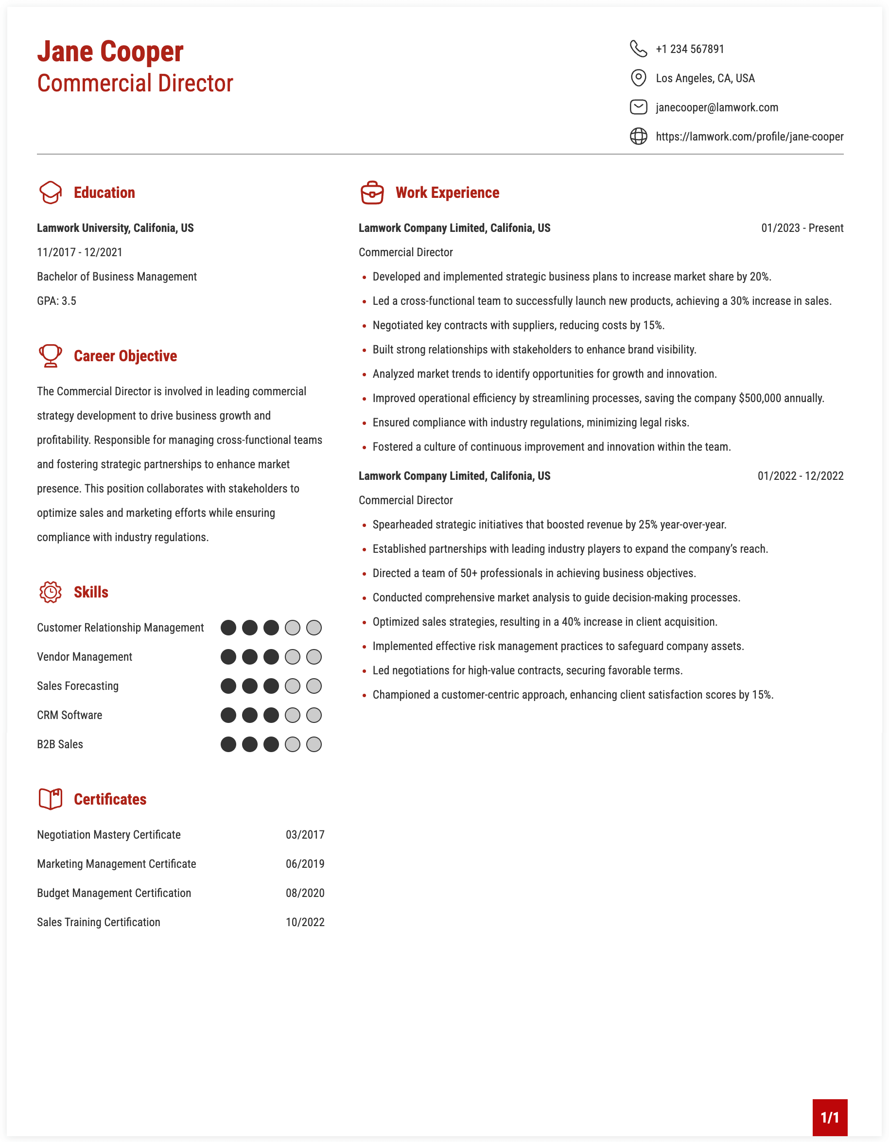 Commercial Director Resume Example