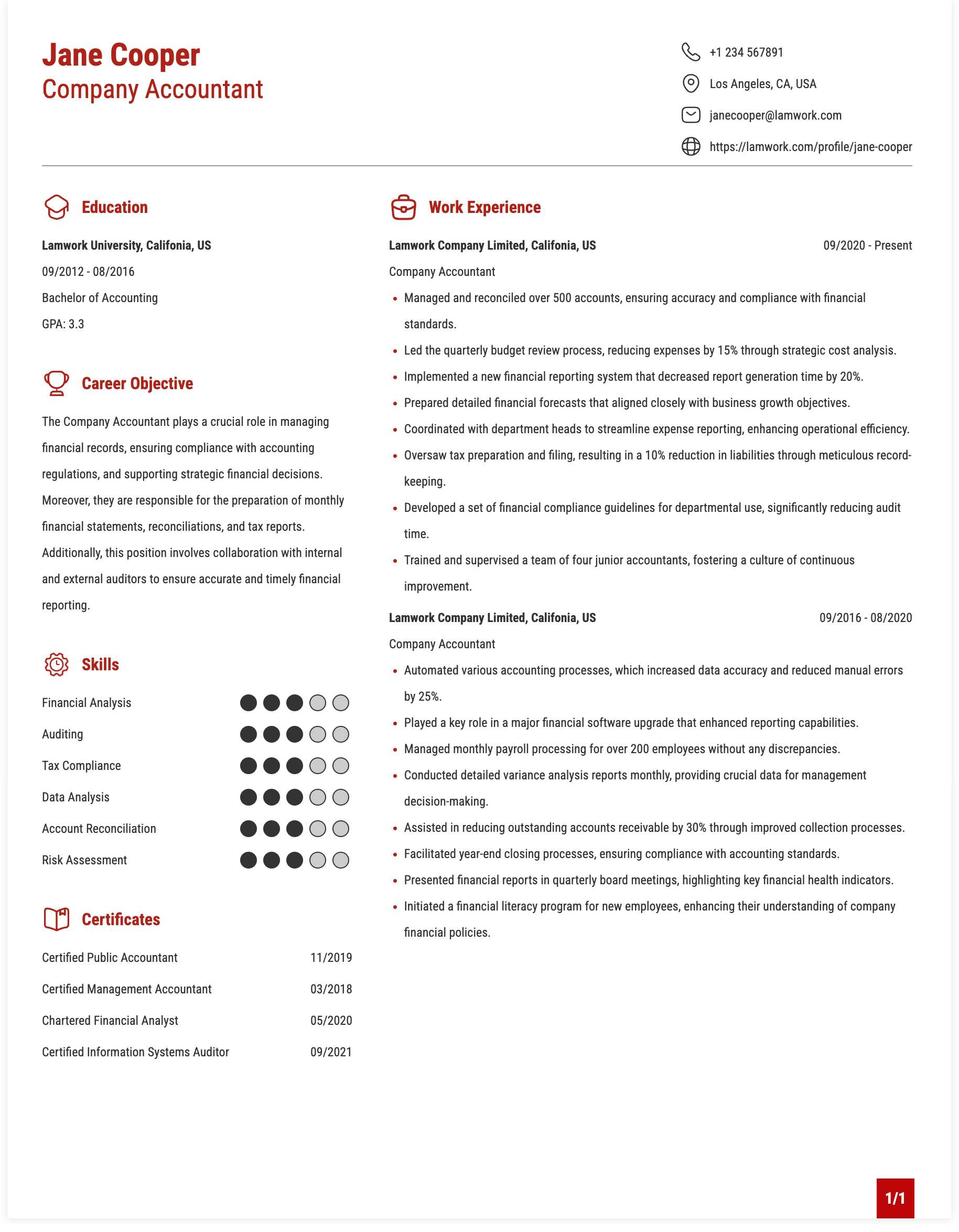 Company Accountant Resume Example