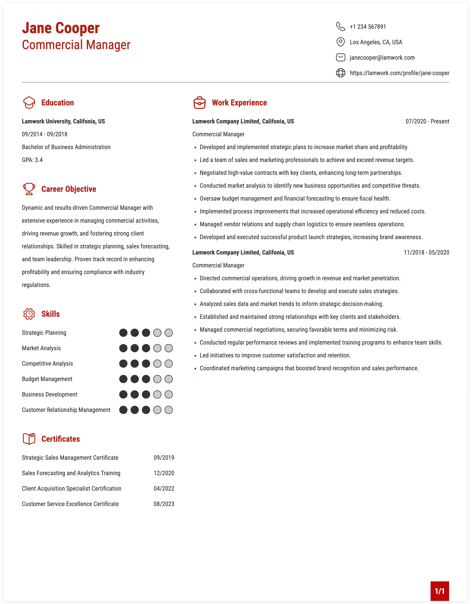 Commercial Manager Resume Example