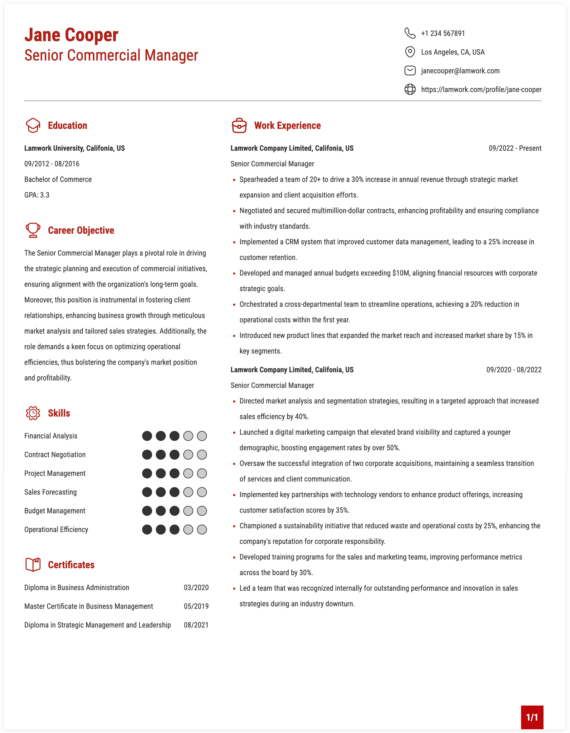 Senior Commercial Manager Resume Example