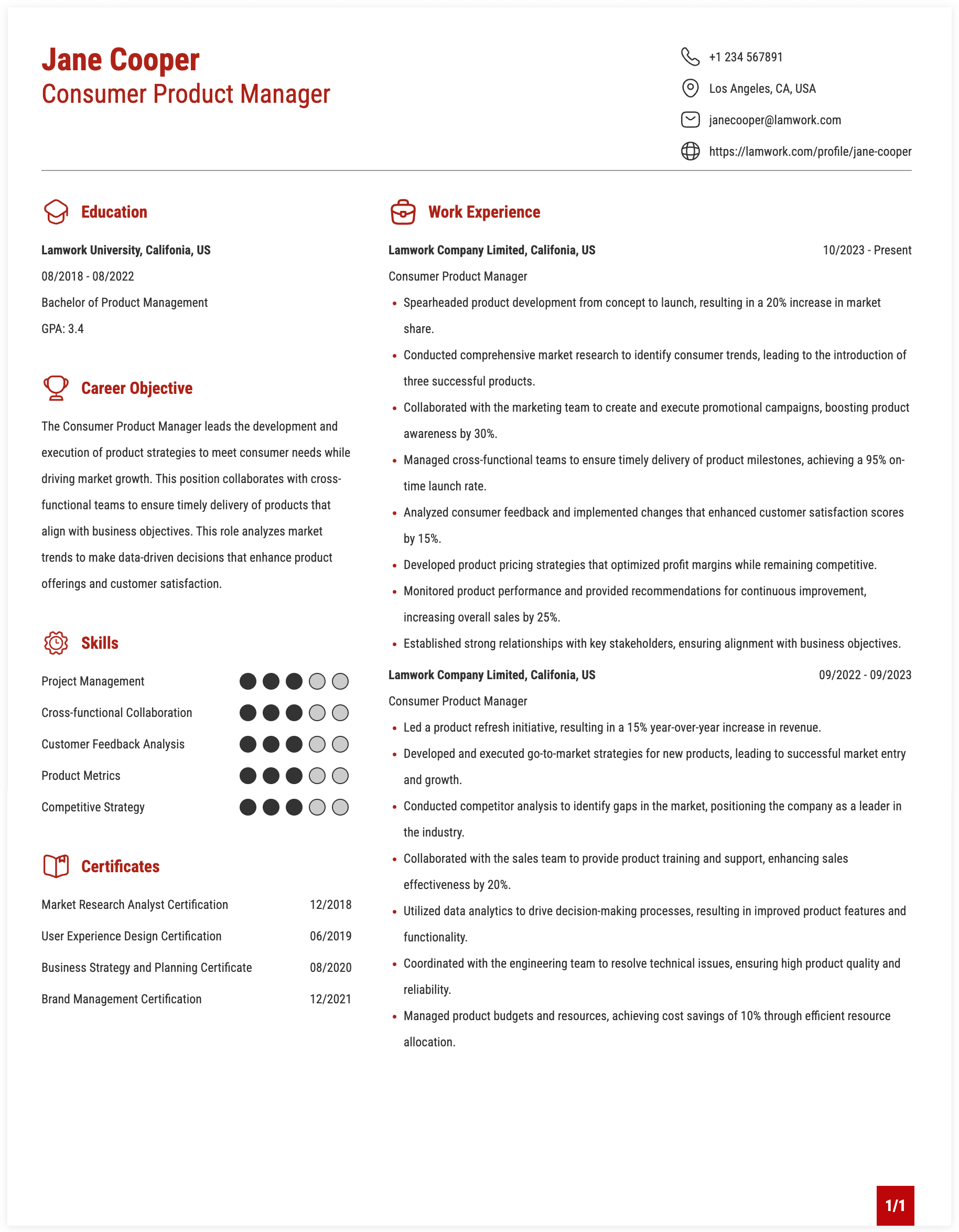 Consumer Product Manager Resume Example