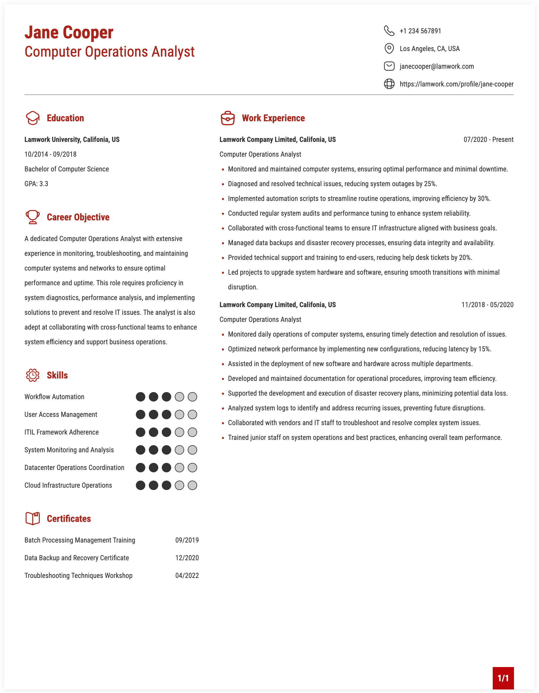Computer Operations Analyst Resume Example