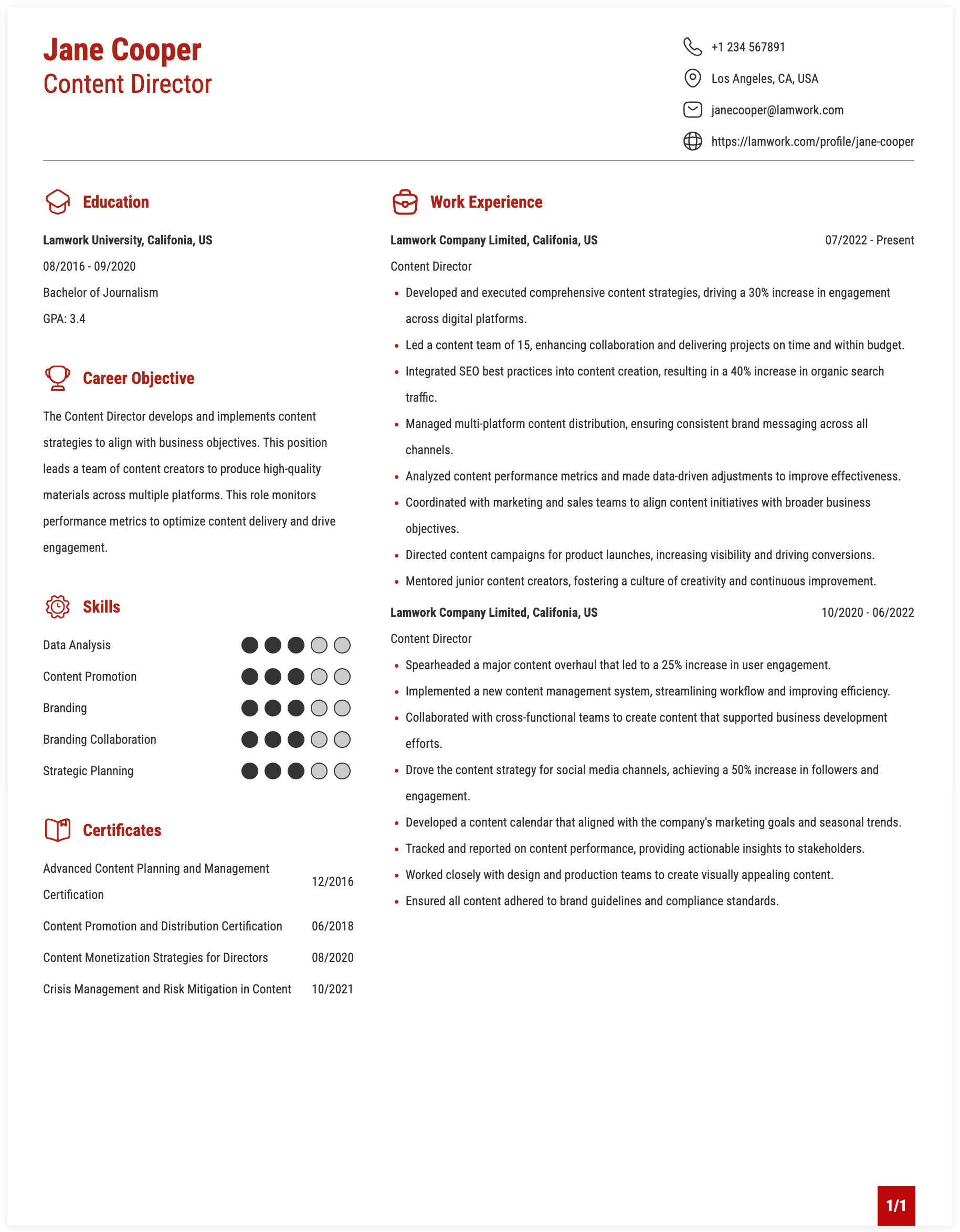 Content Director Resume Example
