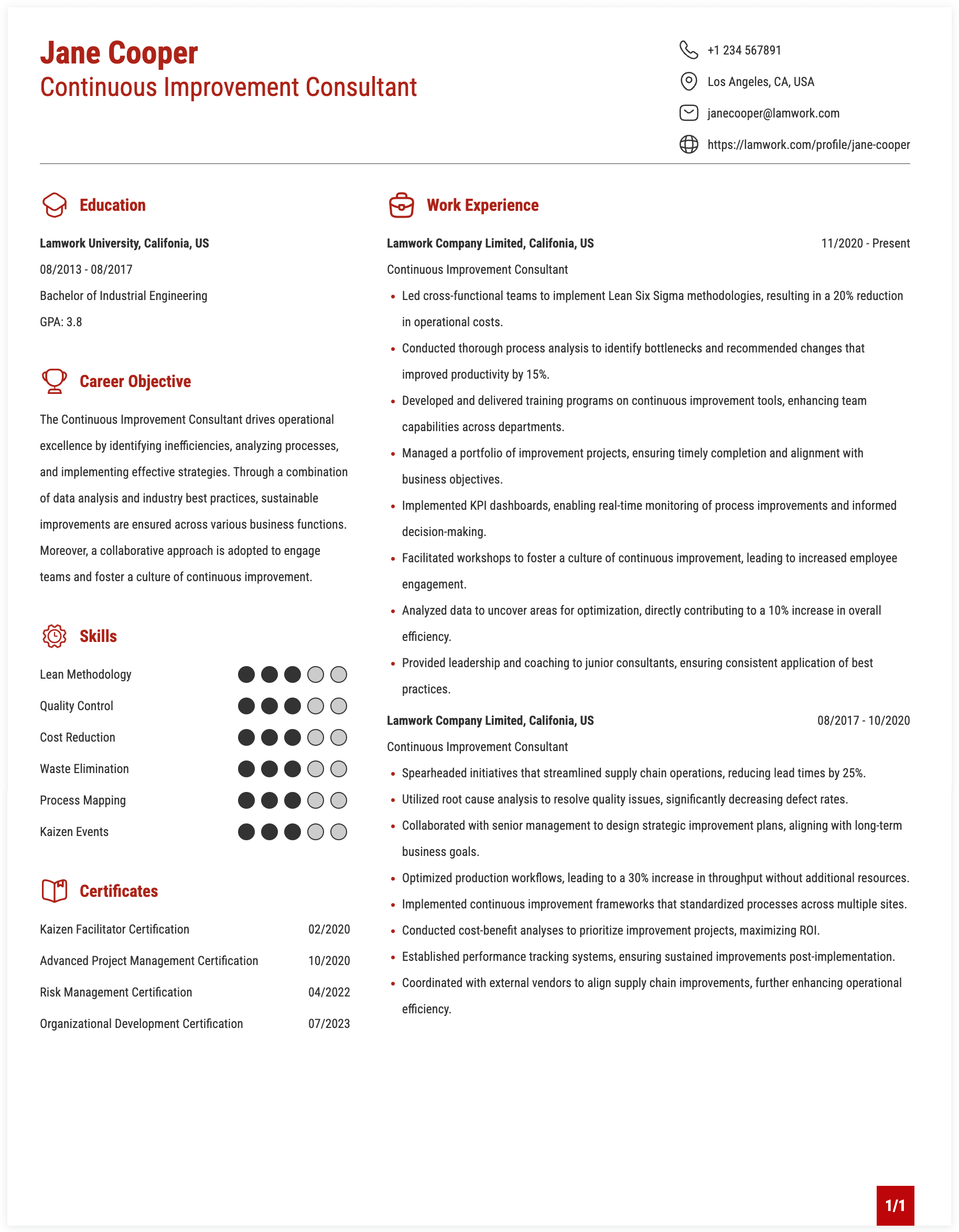 Continuous Improvement Consultant Resume Example