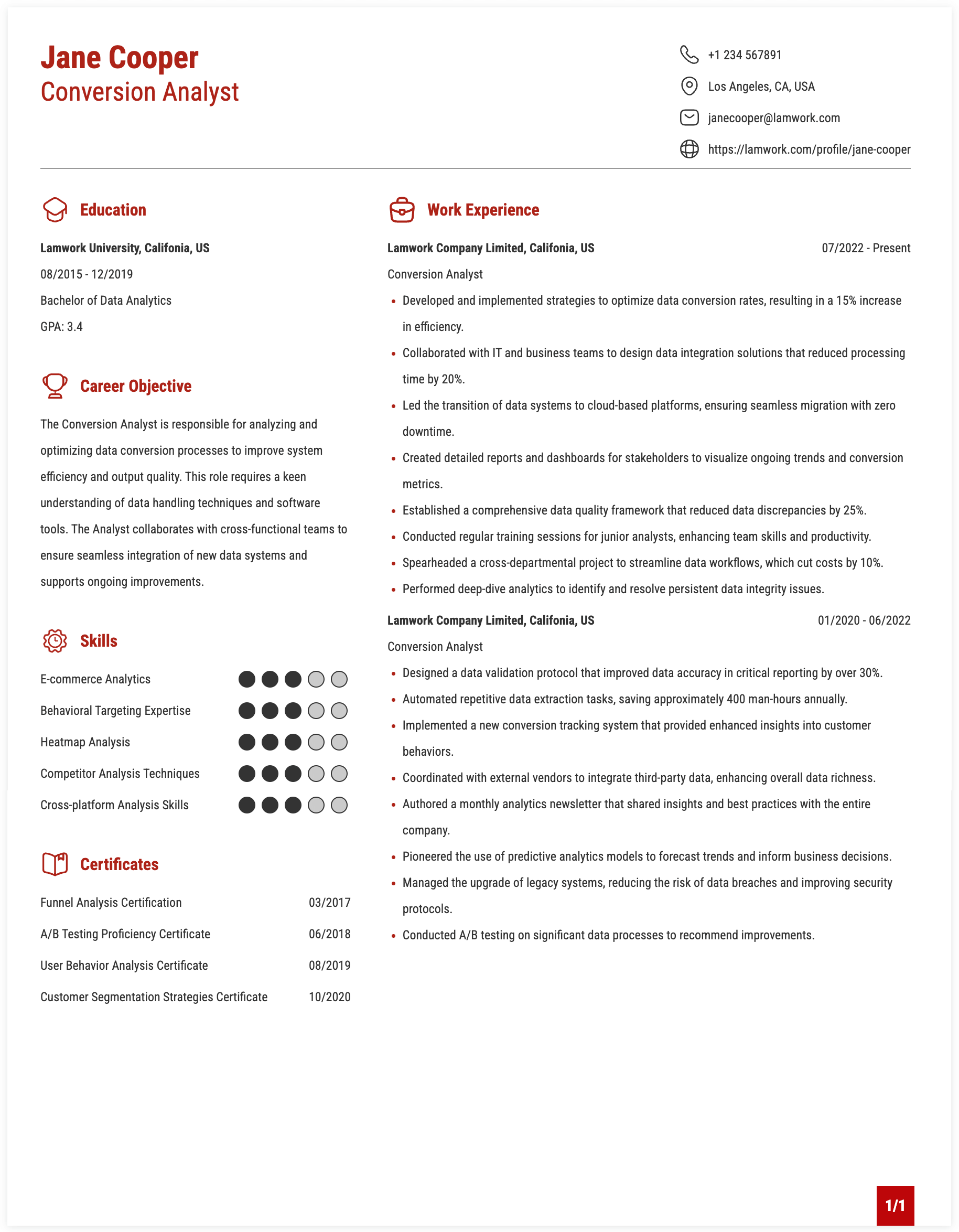 Conversion Analyst Resume Example