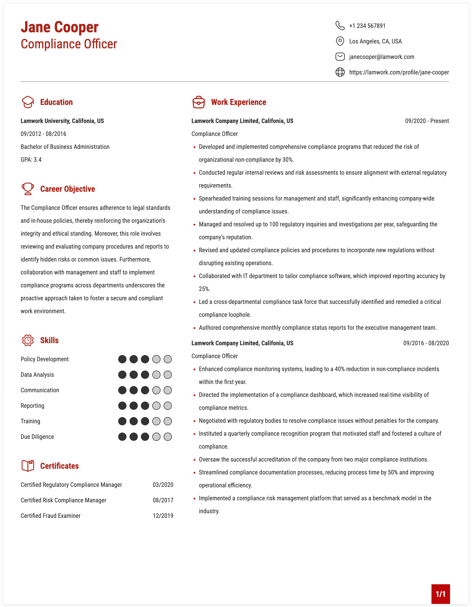 Compliance Officer Resume Example