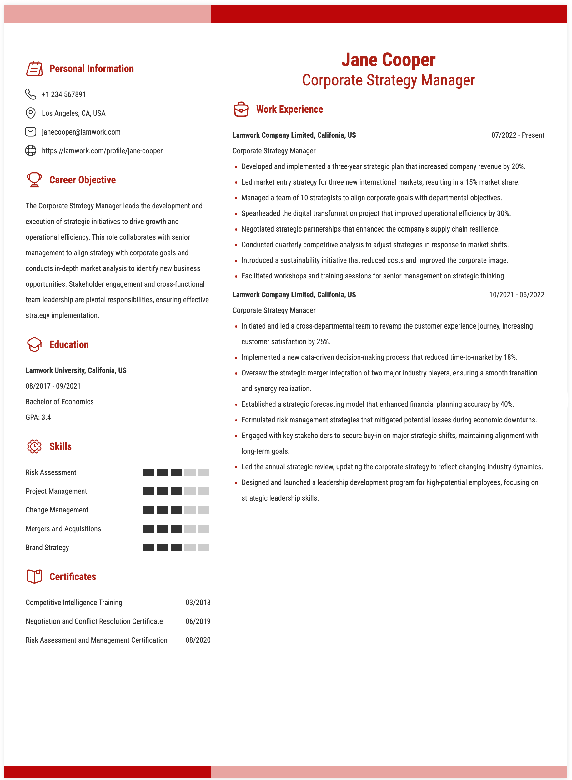 Corporate Strategy Manager Resume Example