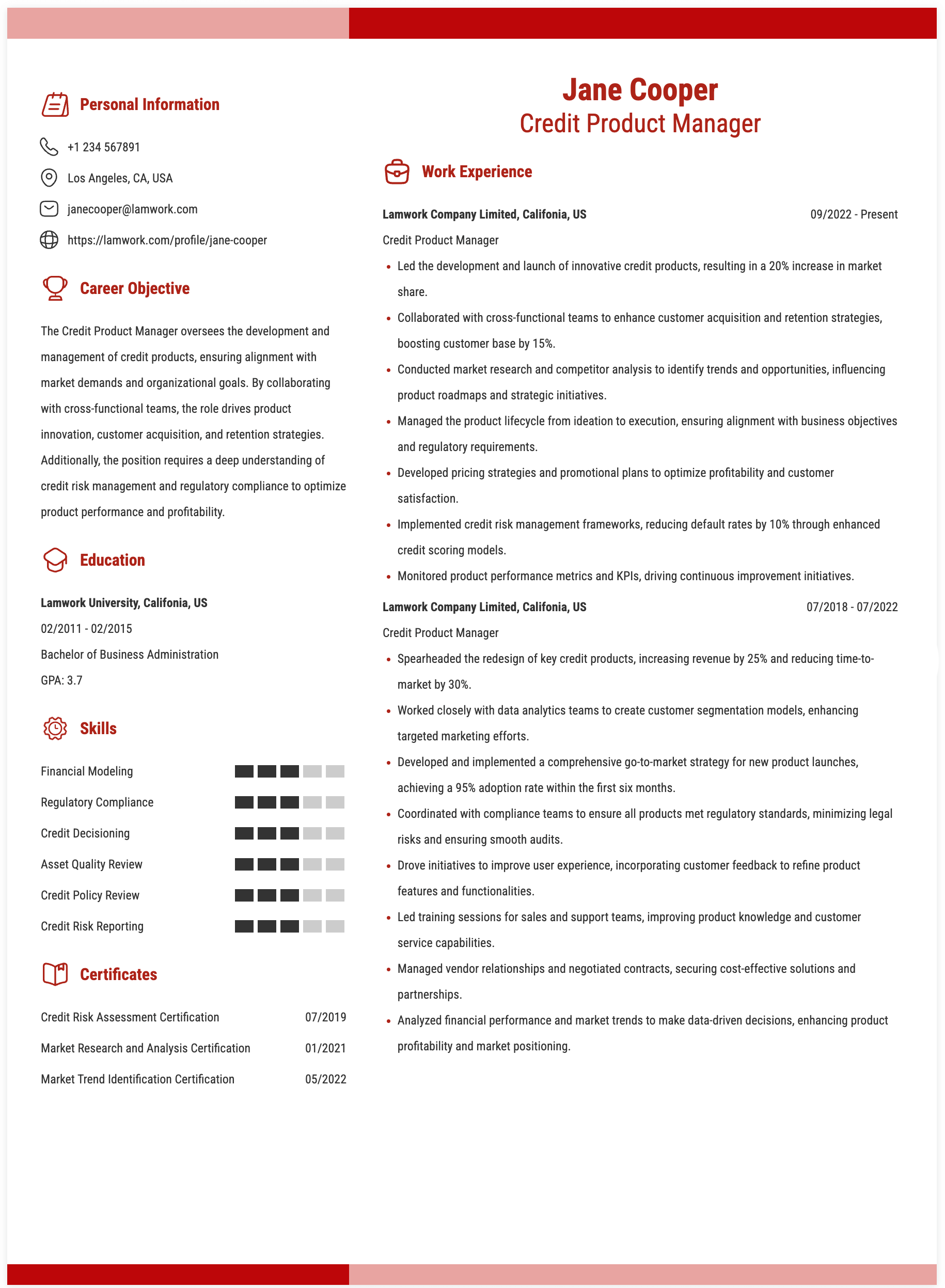 Credit Product Manager Resume Example