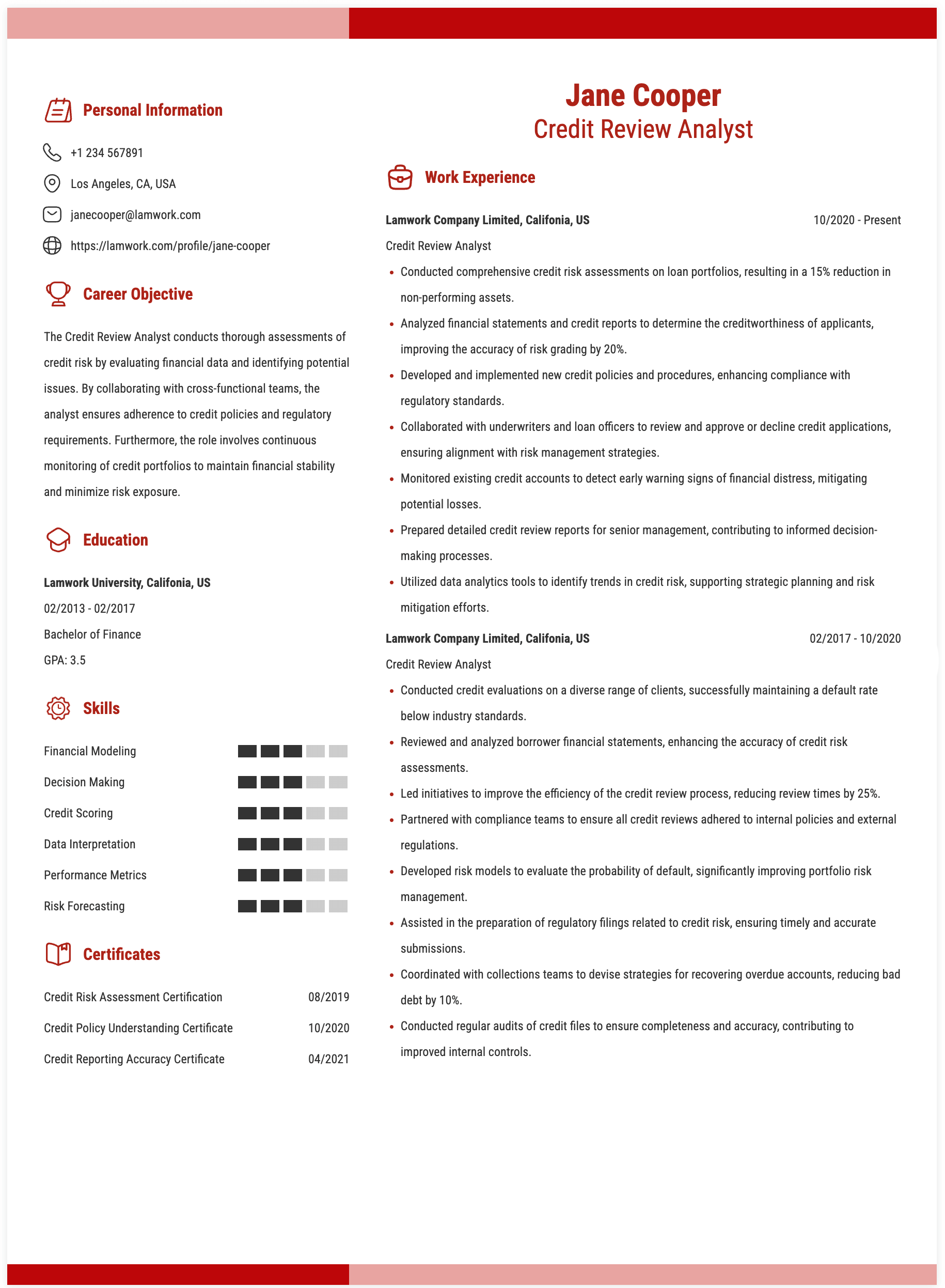 Credit Review Analyst Resume Example