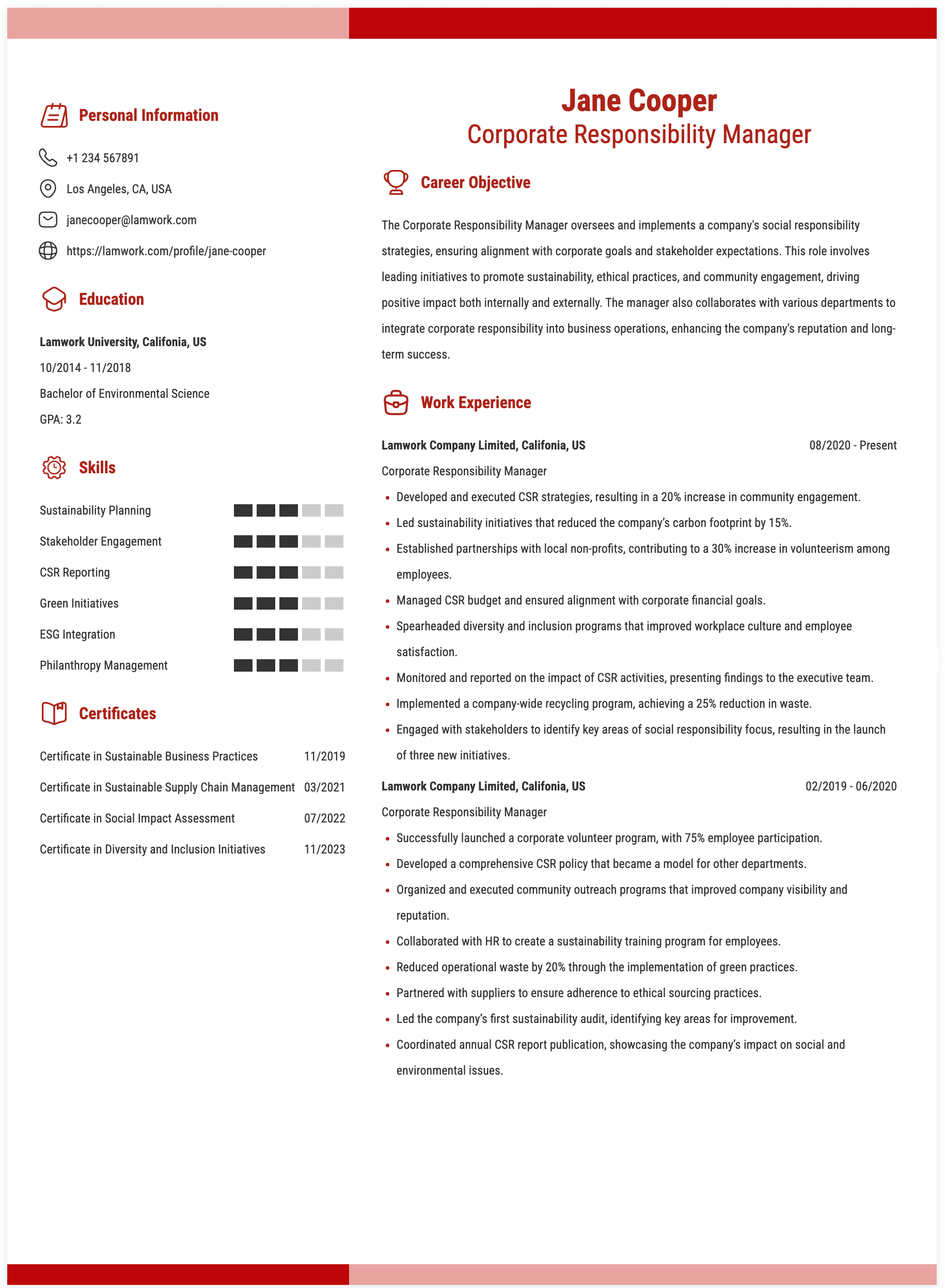 Corporate Responsibility Manager Resume Example