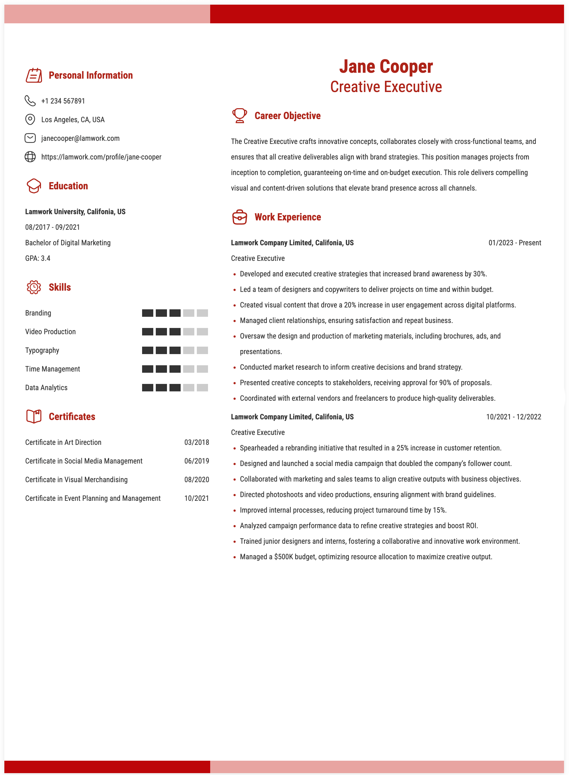 Creative Executive Resume Example