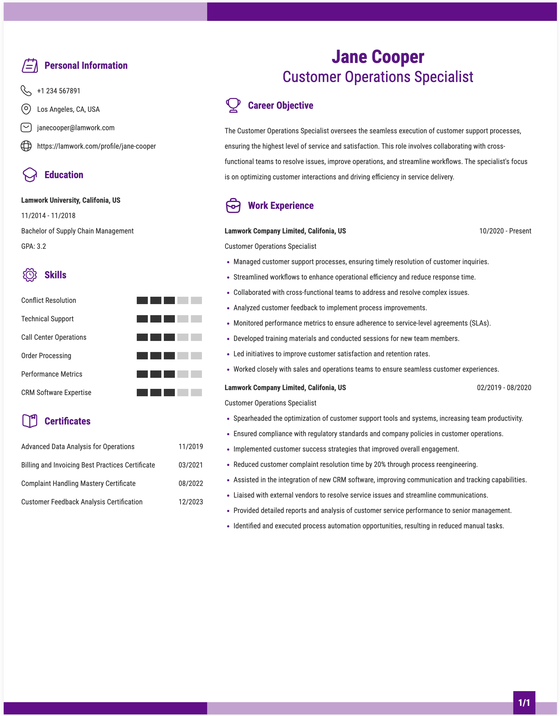 Customer Operations Specialist Resume Example