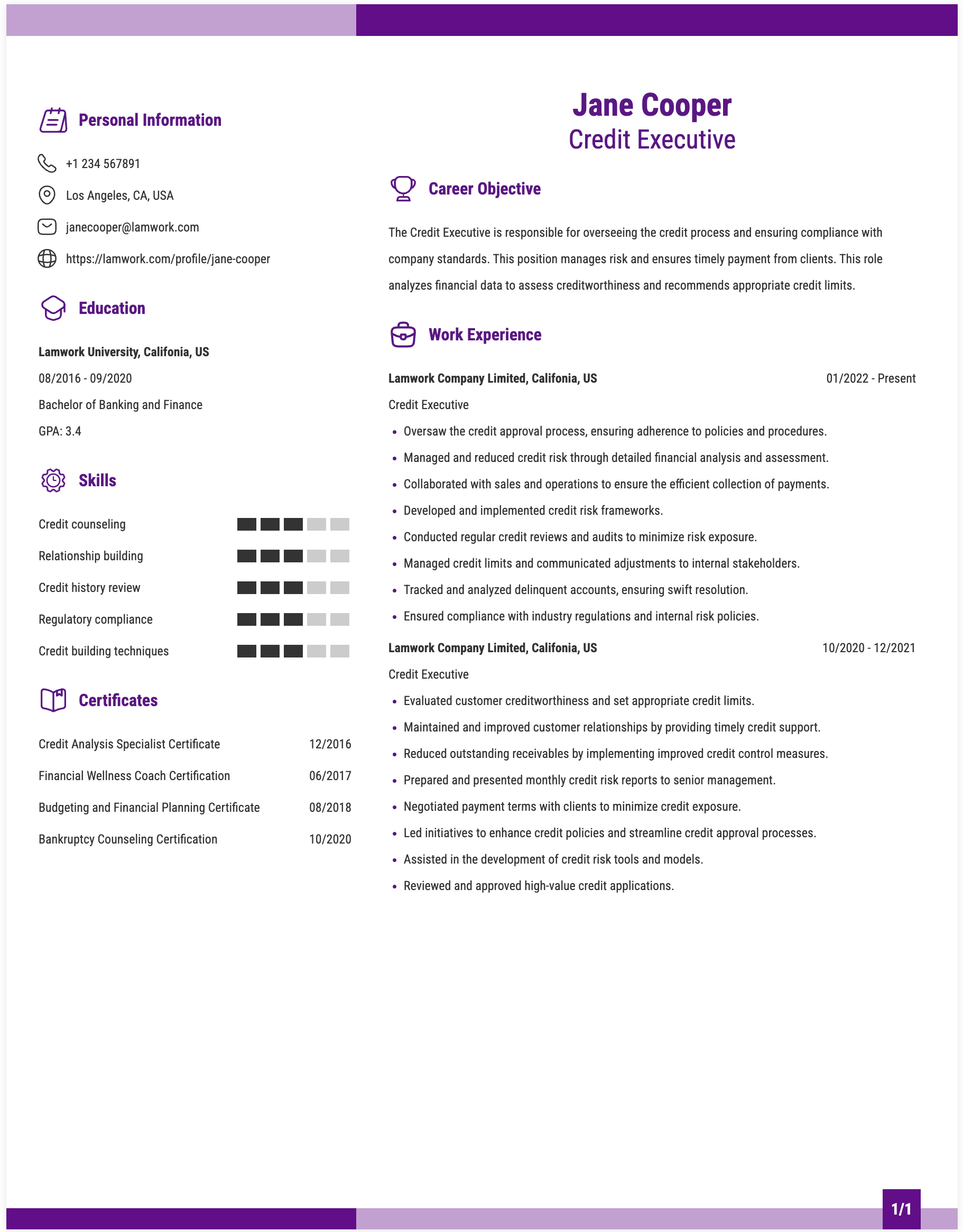 Credit Executive Resume Example