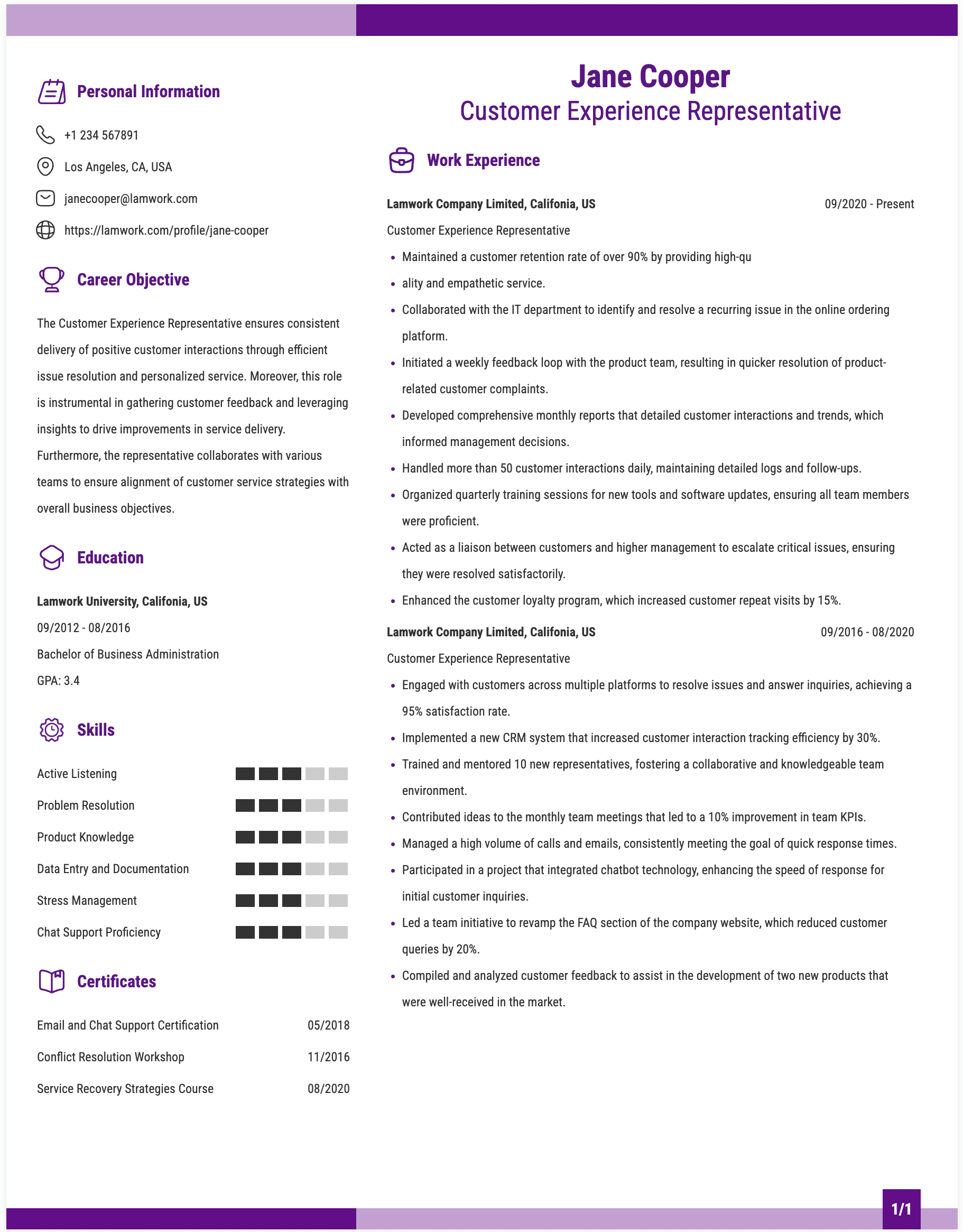 Customer Experience Representative Resume Example
