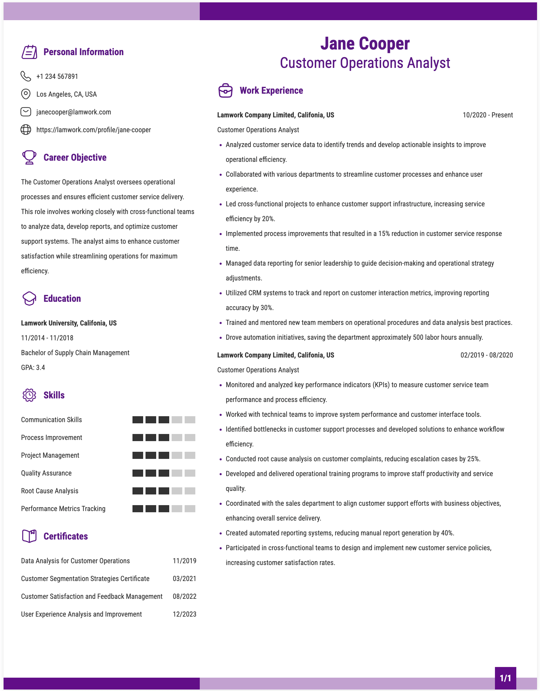 Customer Operations Analyst Resume Example