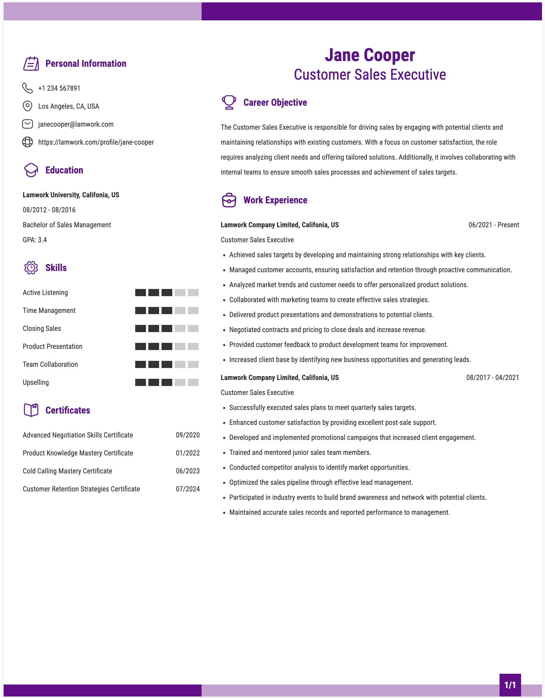 Customer Sales Executive Resume Example