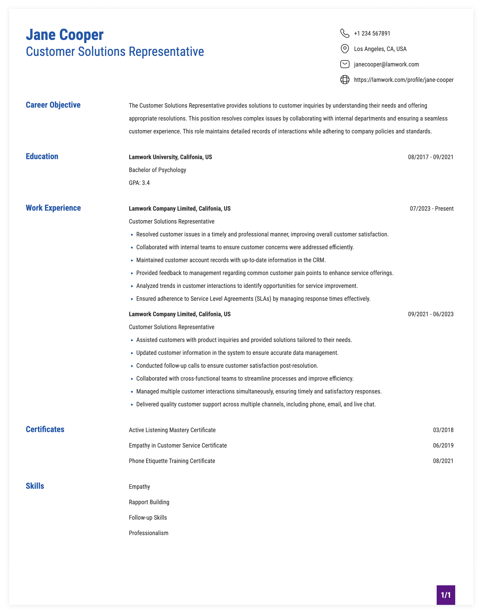 Customer Solutions Representative Resume Example