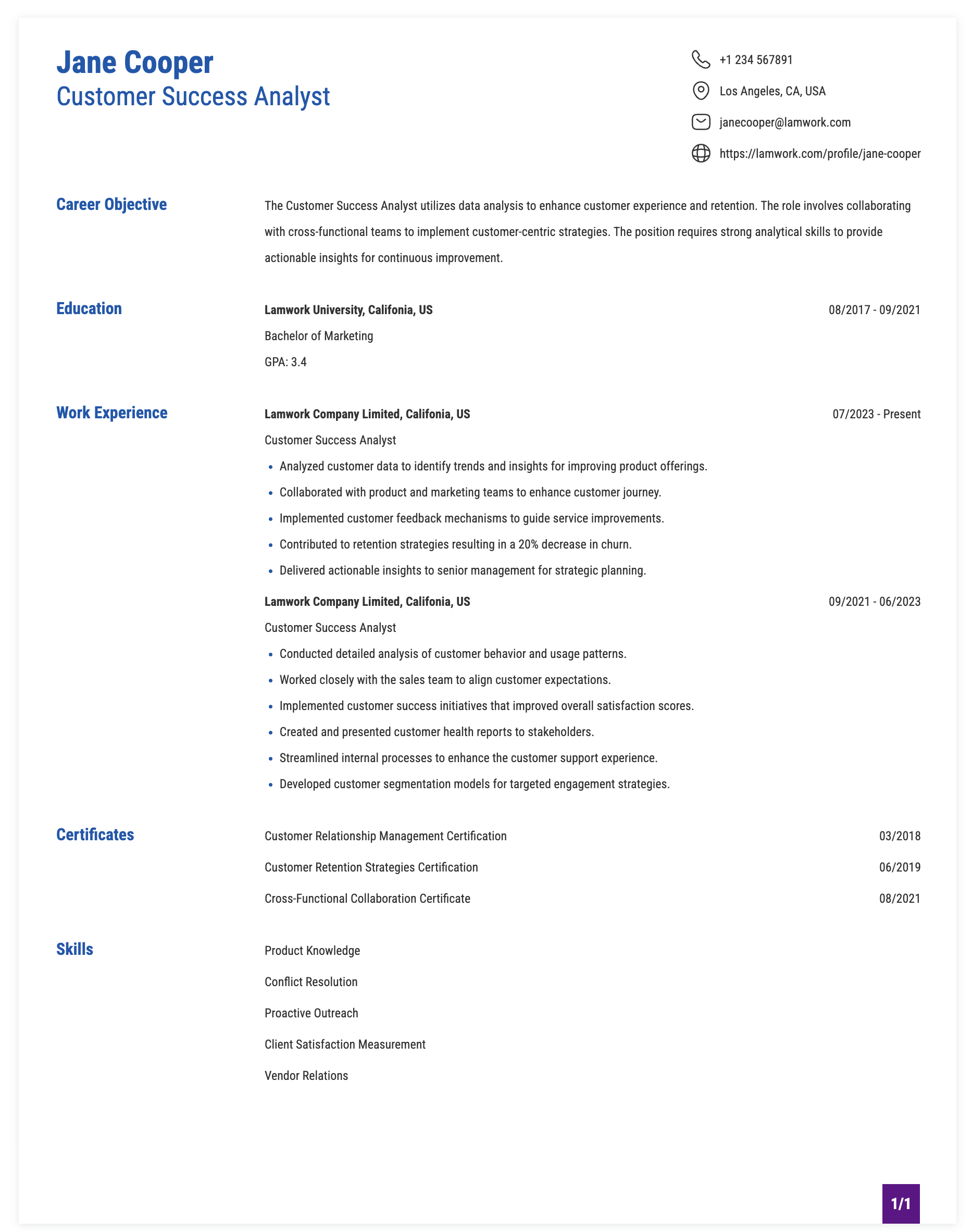 Customer Success Analyst Resume Example