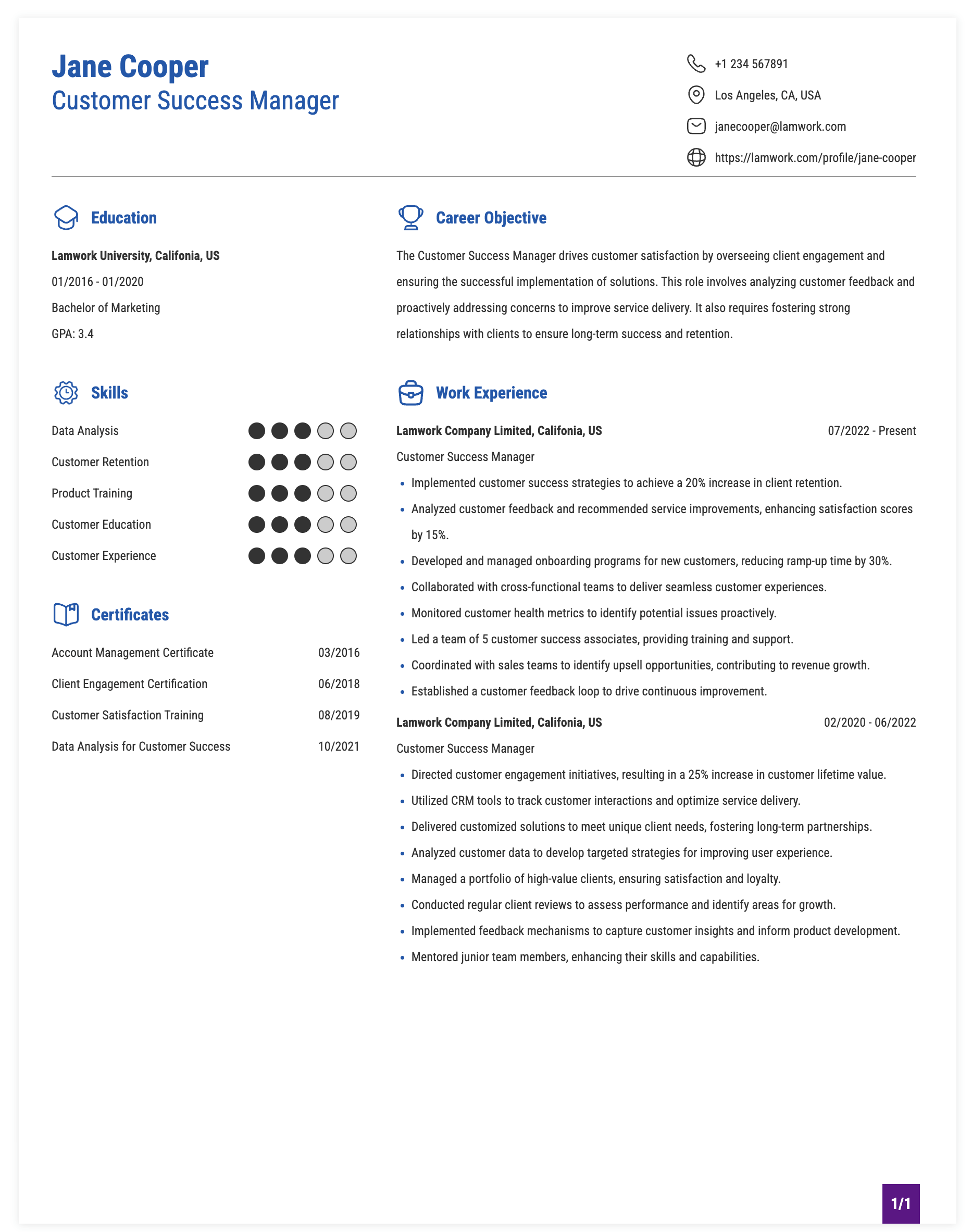 Customer Success Manager Resume Example