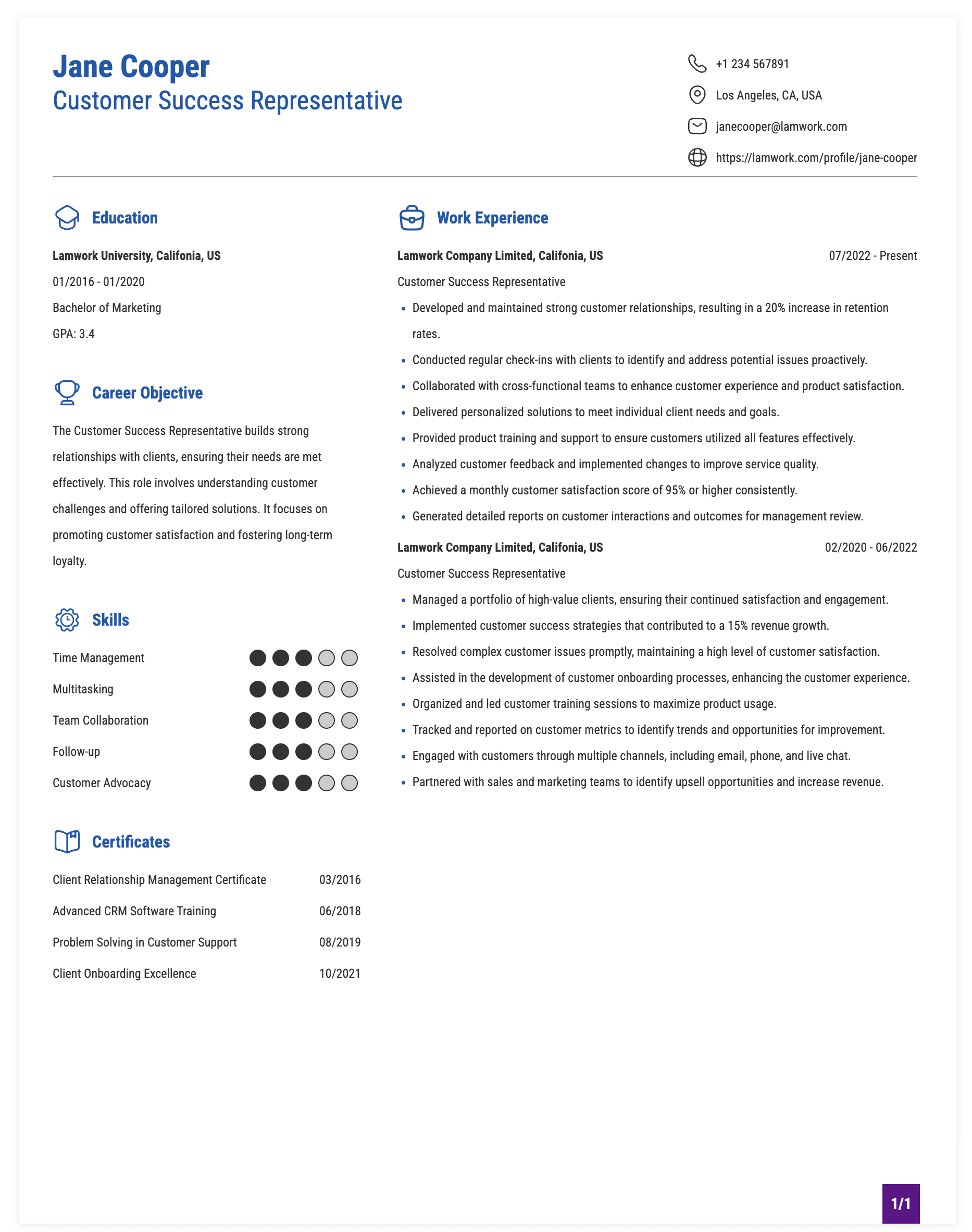 Customer Success Representative Resume Example