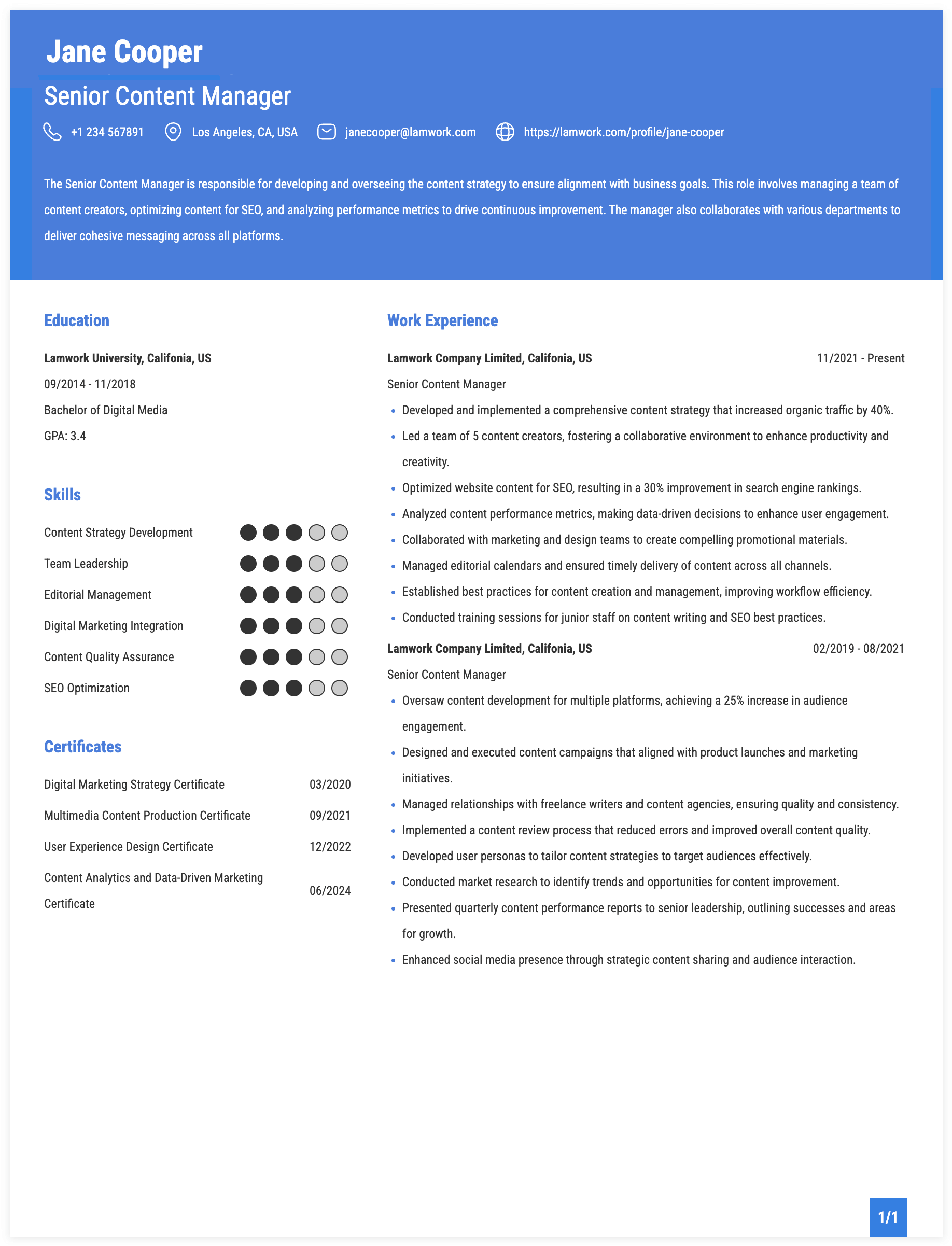 Senior Content Manager Resume Example