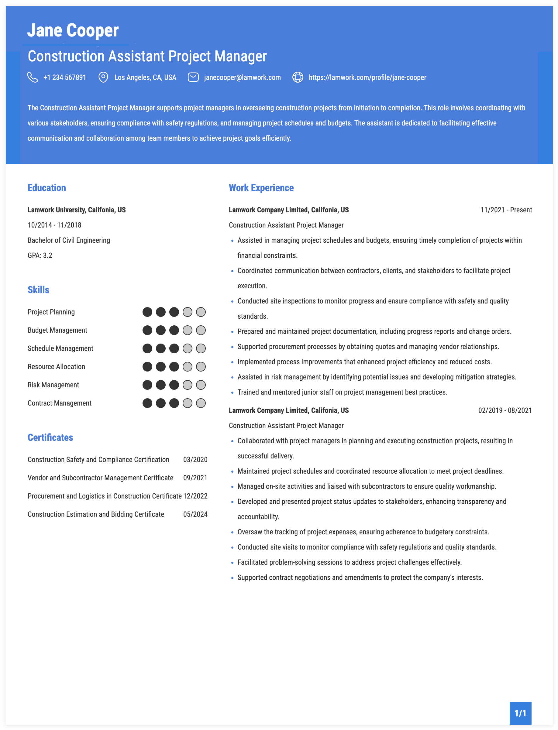 Construction Assistant Project Manager Resume Example