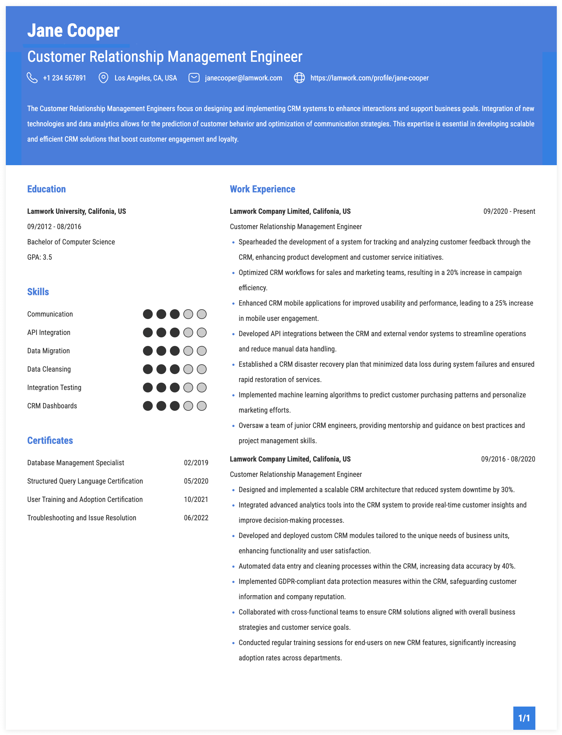 Customer Relationship Management Engineer Resume Example