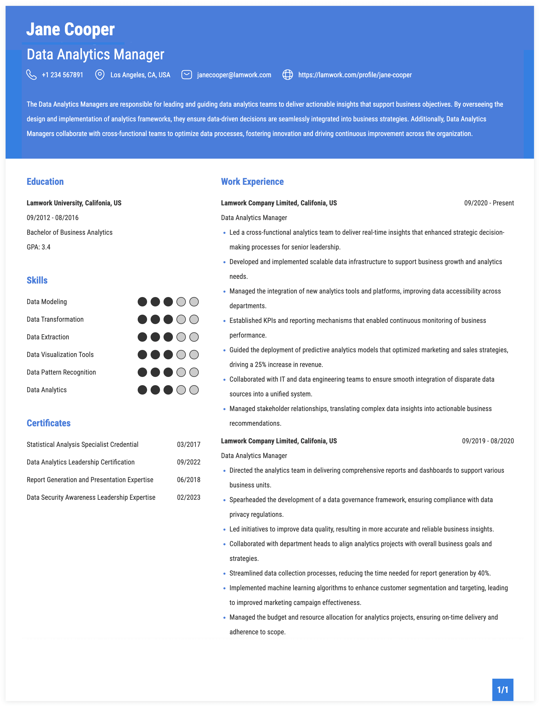 Data Analytics Manager Resume Example