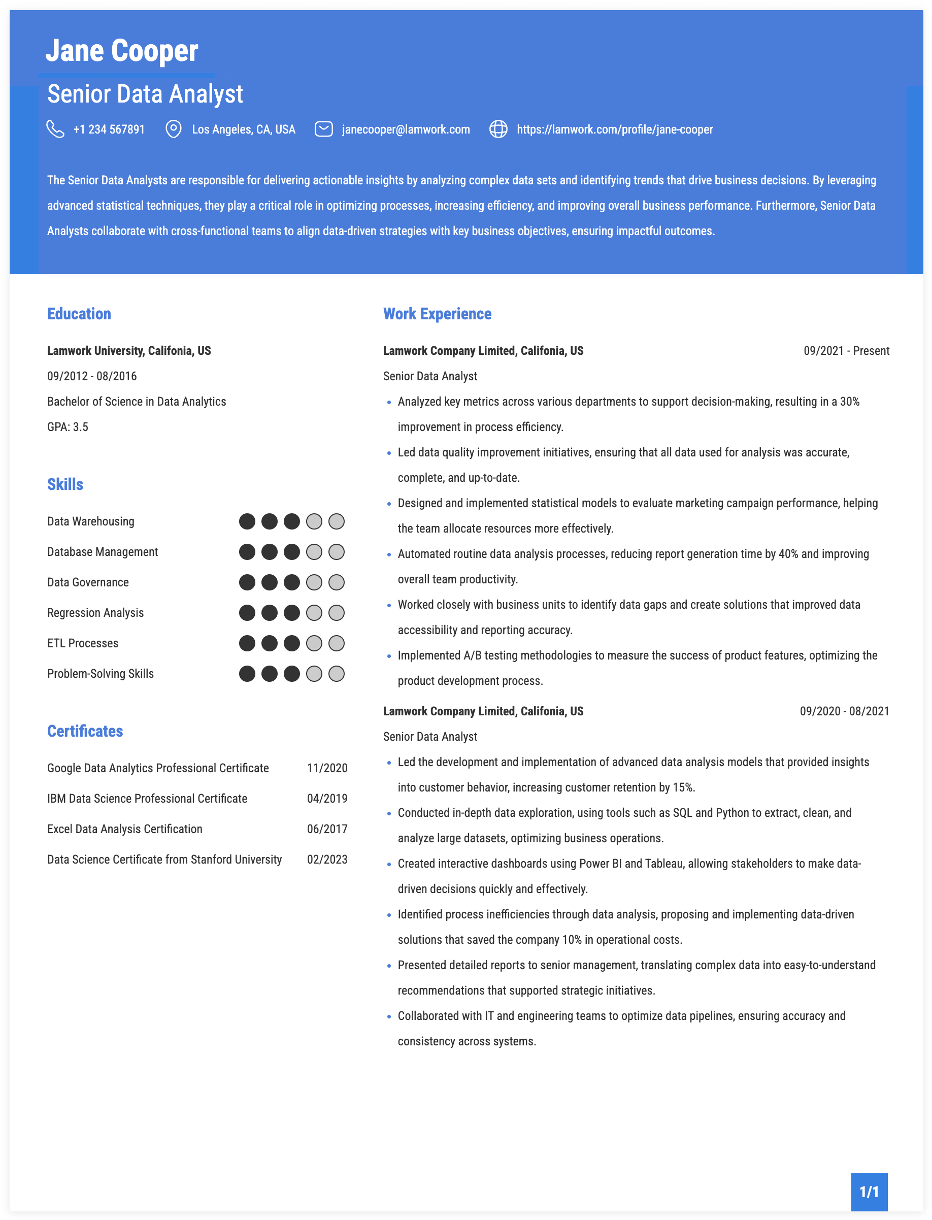 Senior Data Analyst Resume Example