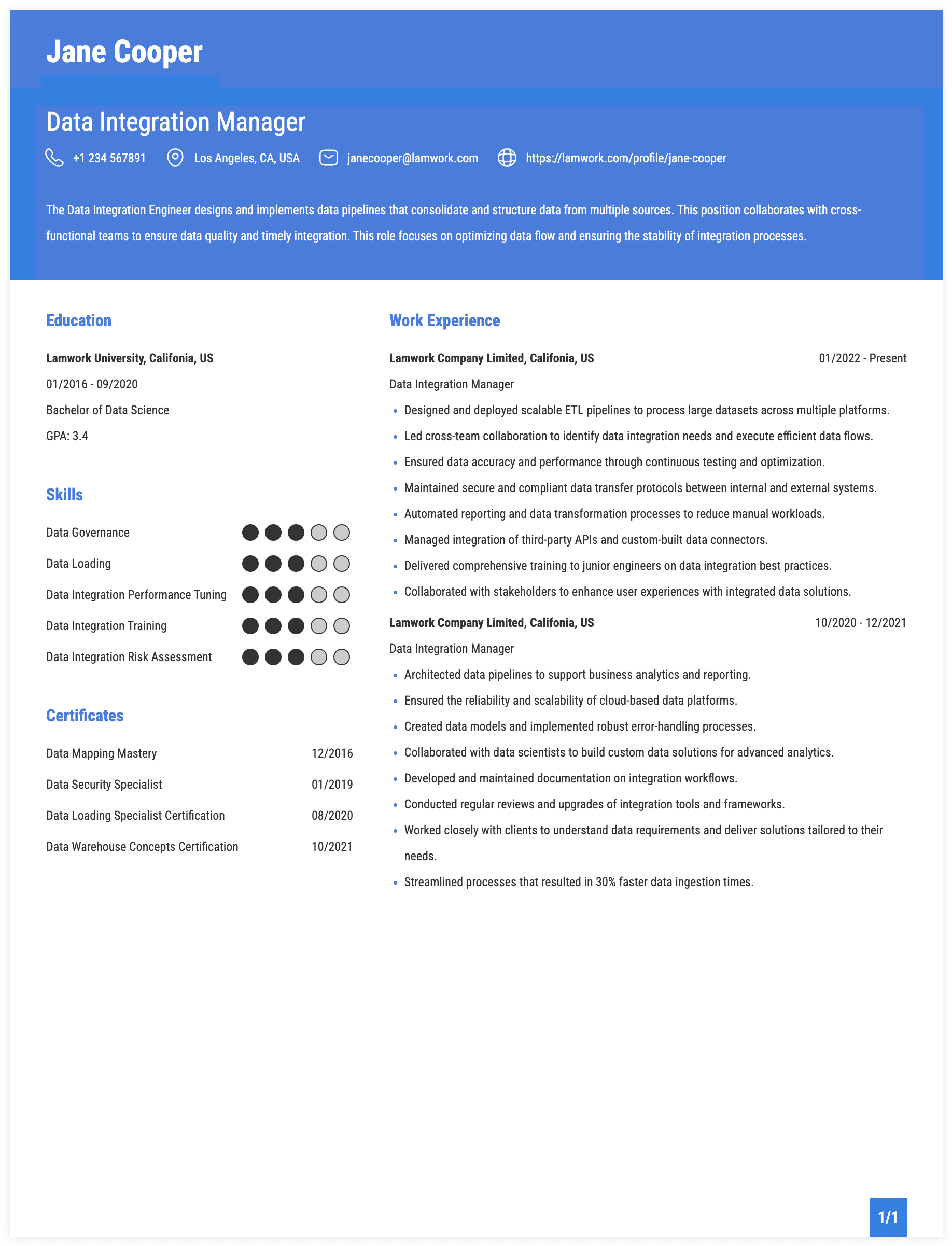 Data Integration Manager Resume Example