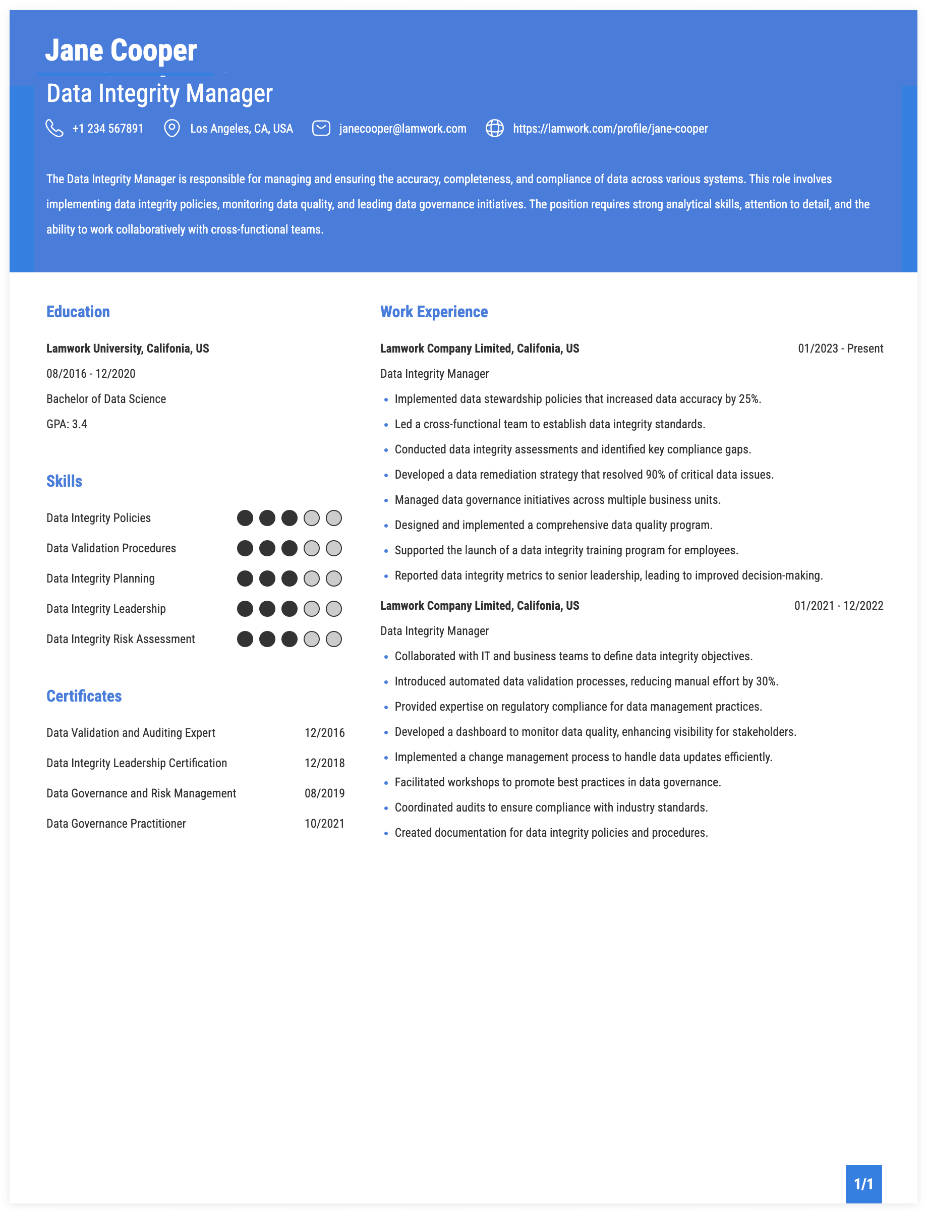 Data Integrity Manager Resume Example