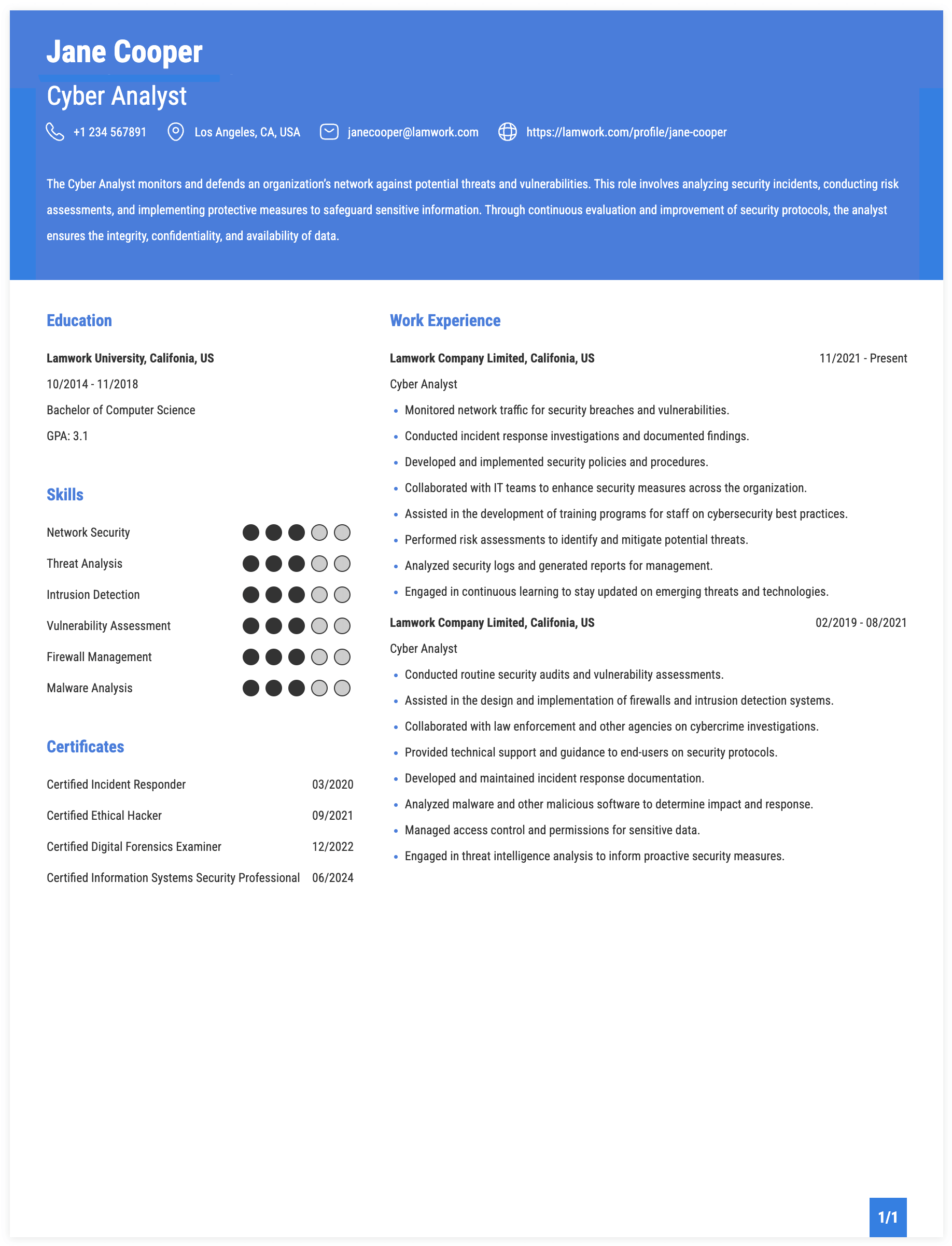 Cyber Analyst Resume Example