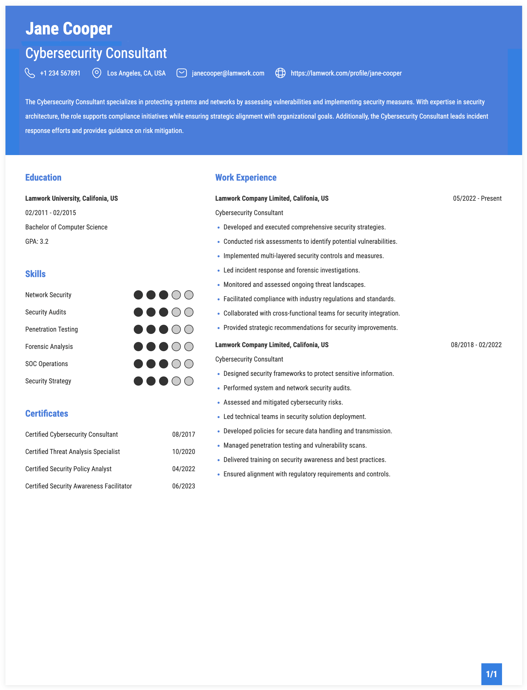 Cybersecurity Consultant Resume Example
