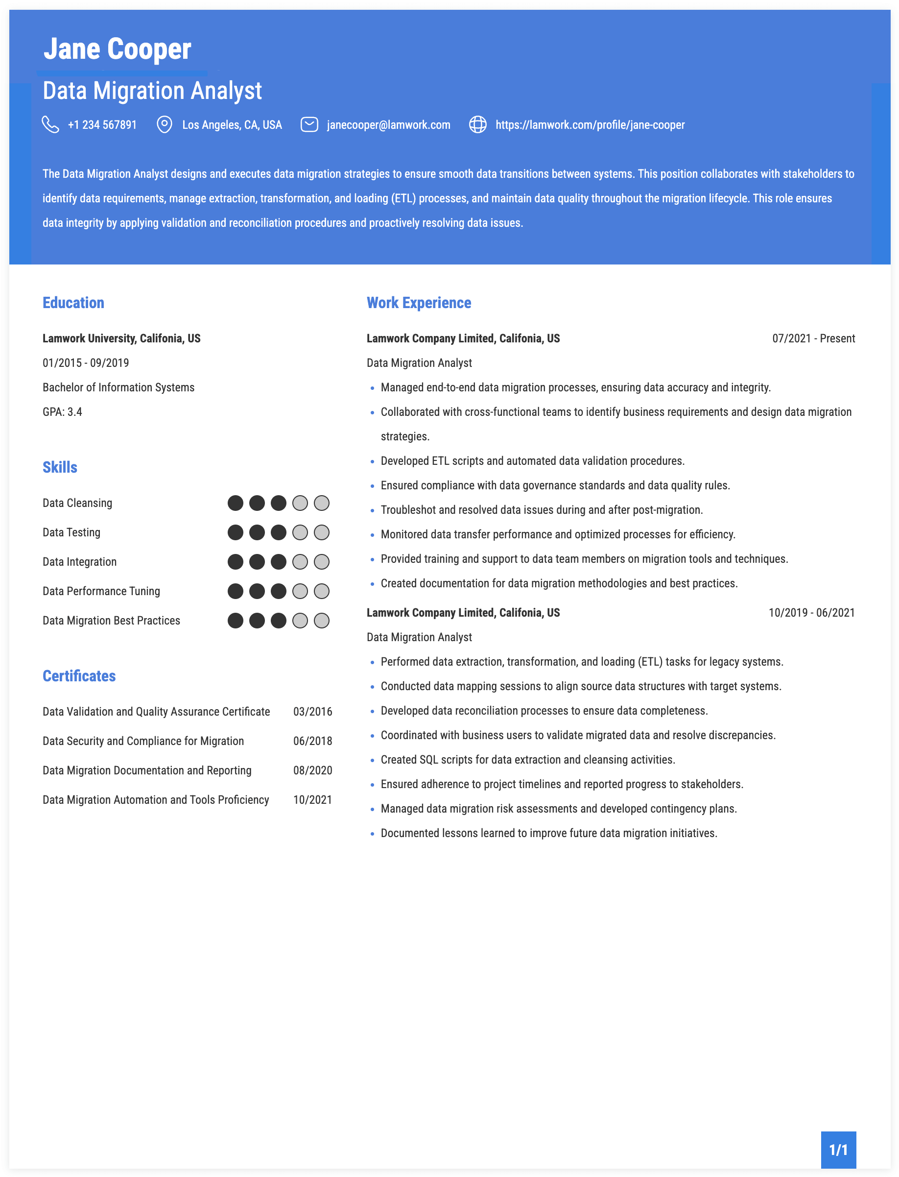Data Migration Analyst Resume Example