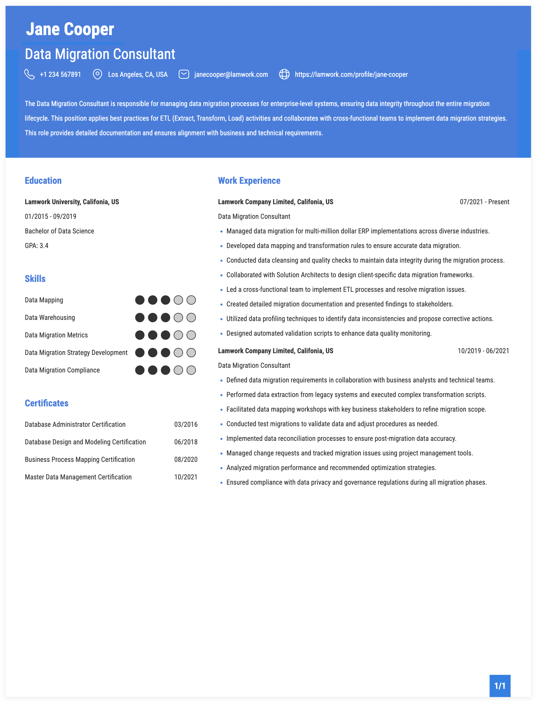 Data Migration Consultant Resume Example