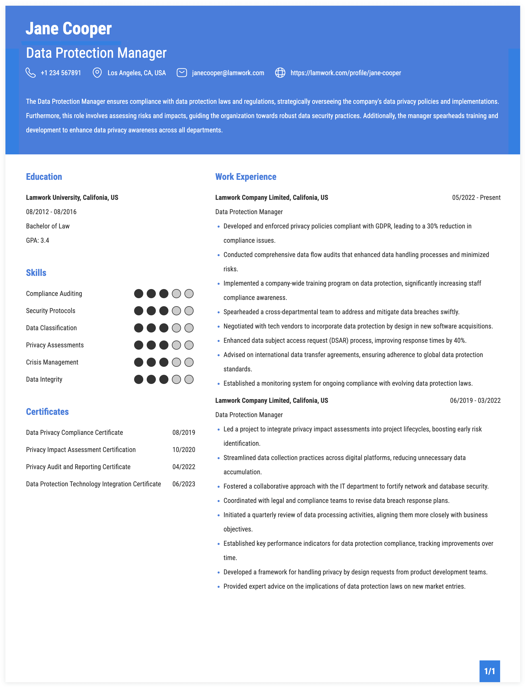 Data Protection Manager Resume Example