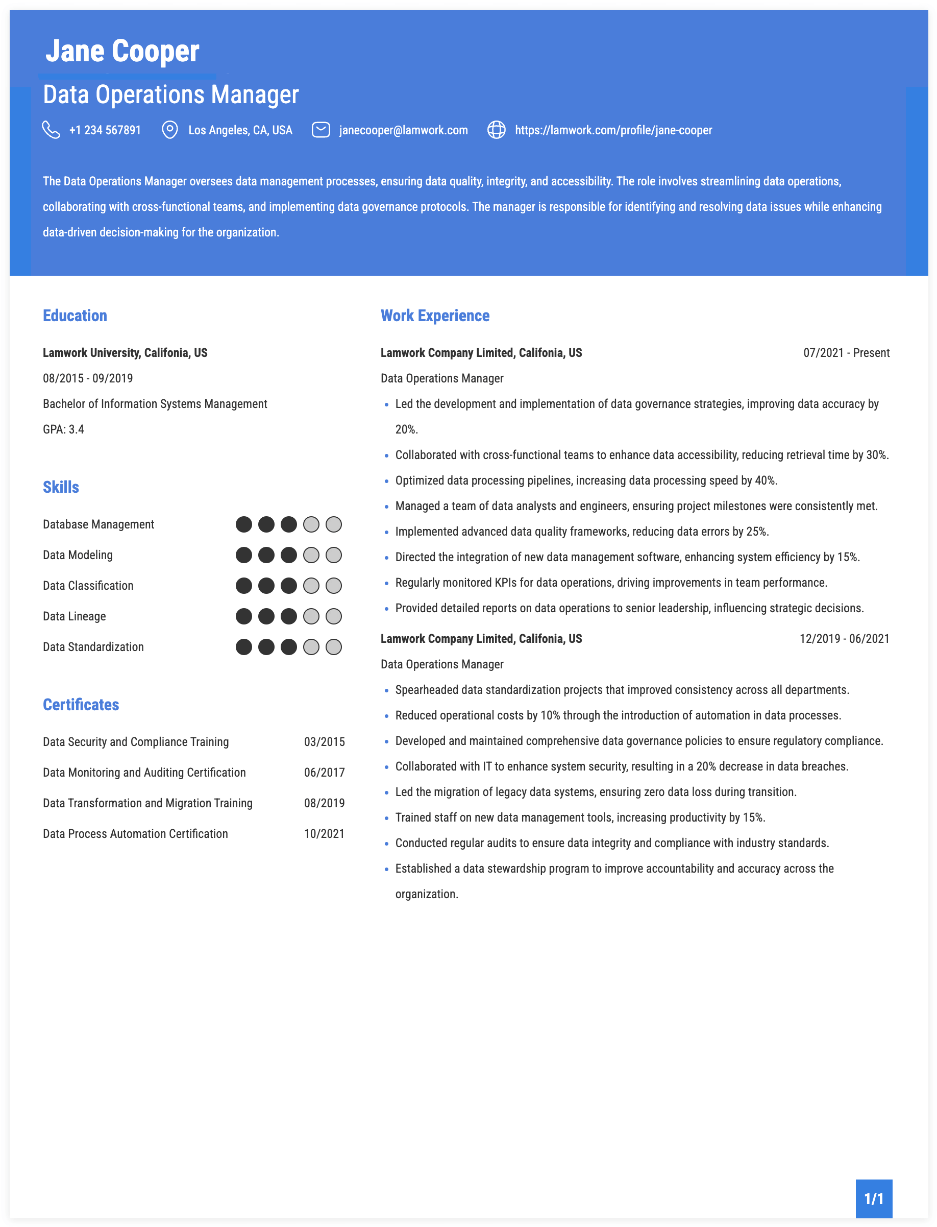 Data Operations Manager Resume Example