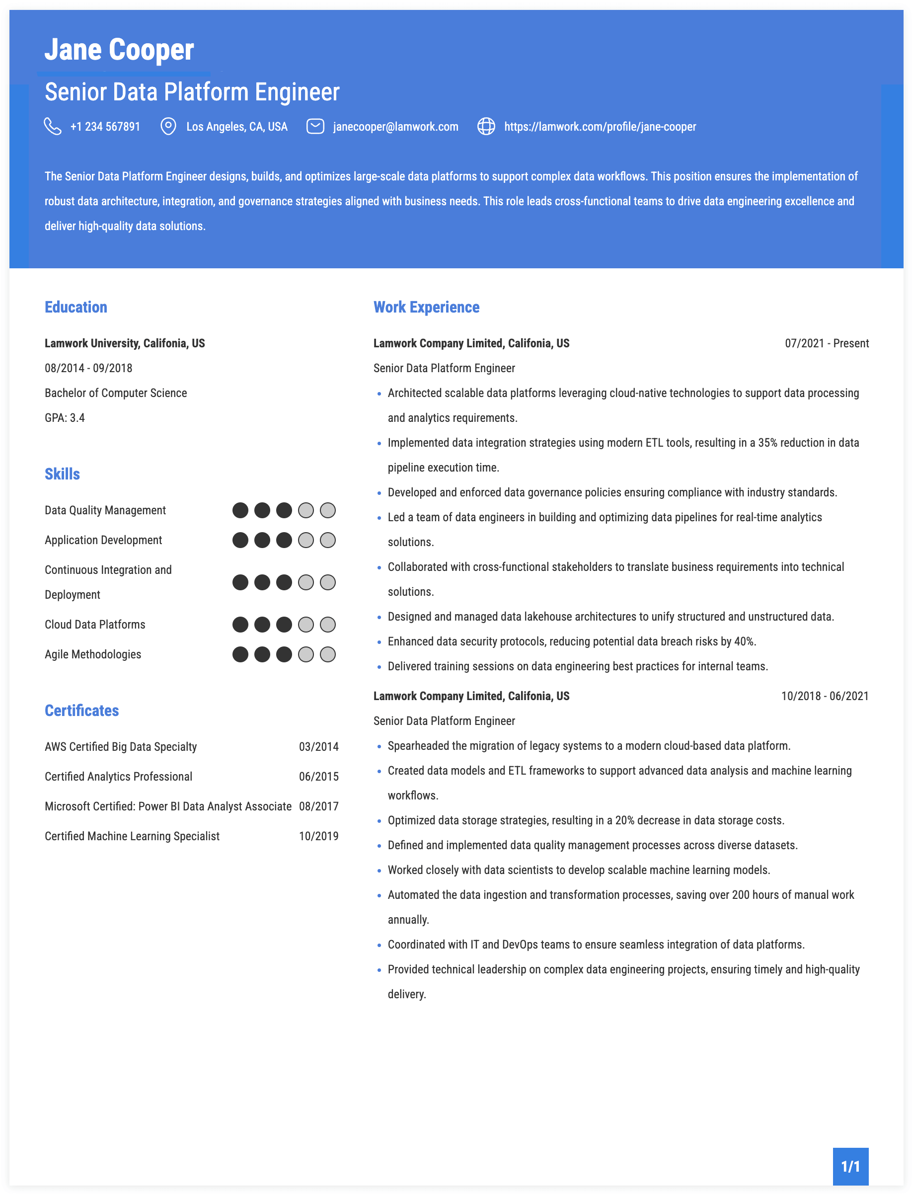 Senior Data Platform Engineer Resume Example